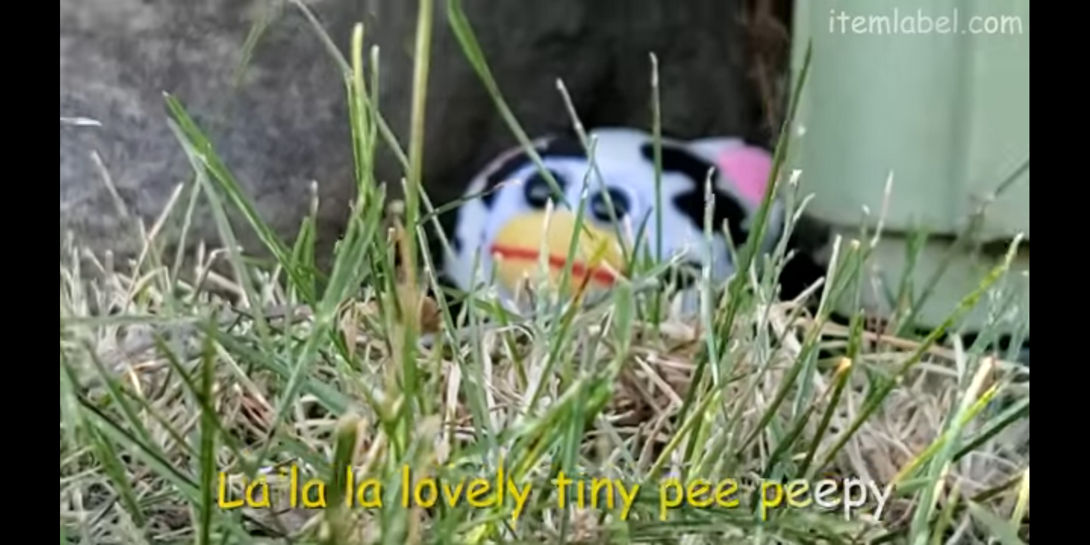 They just had to know | Scrolller