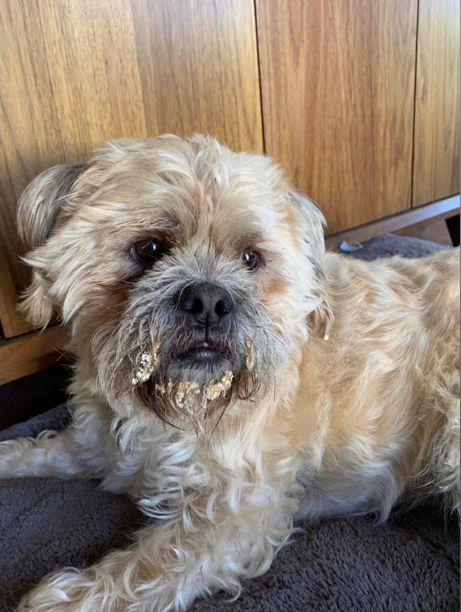 “They’ll never know it was me” | Scrolller