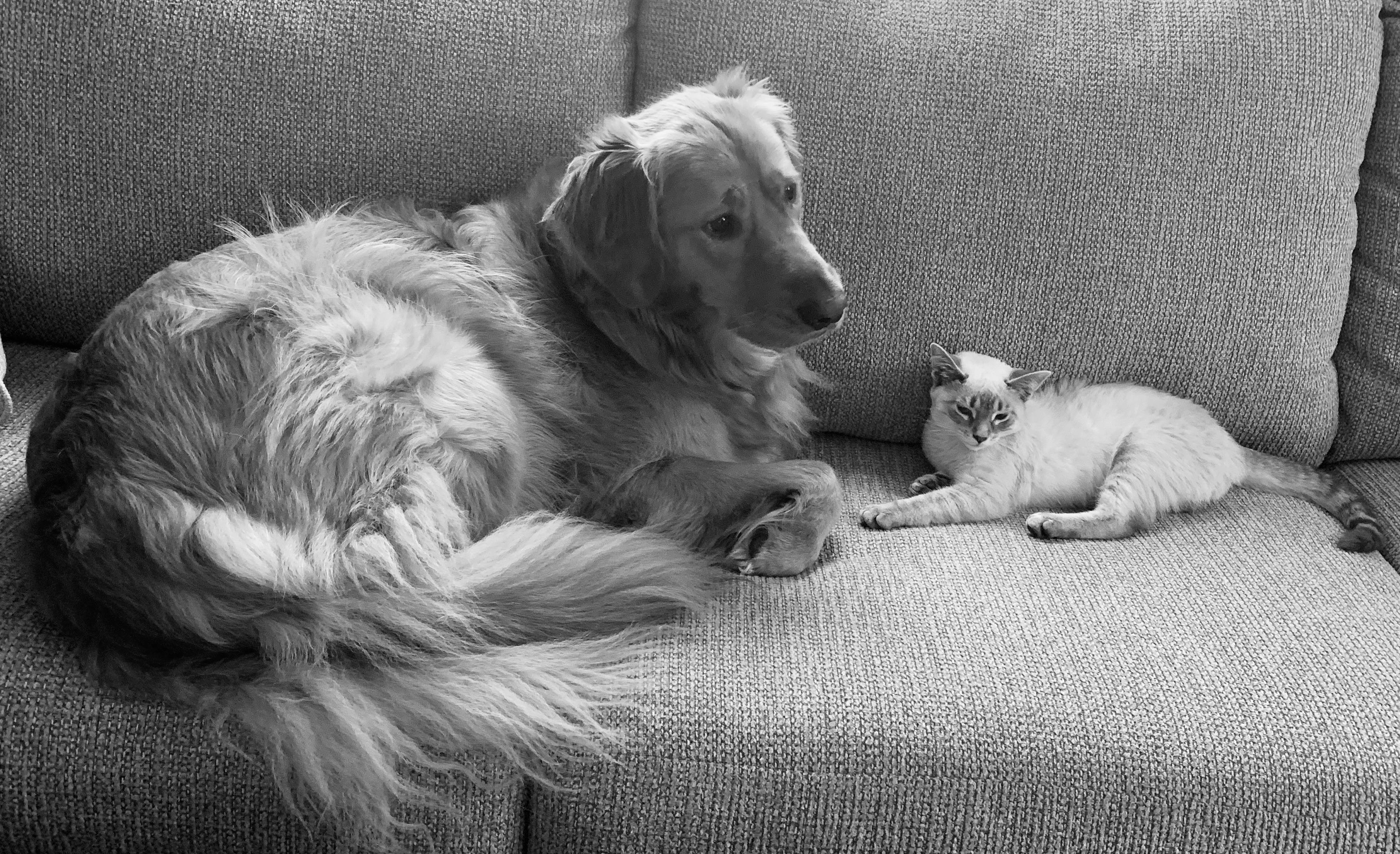 They look very deep in thought. | Scrolller