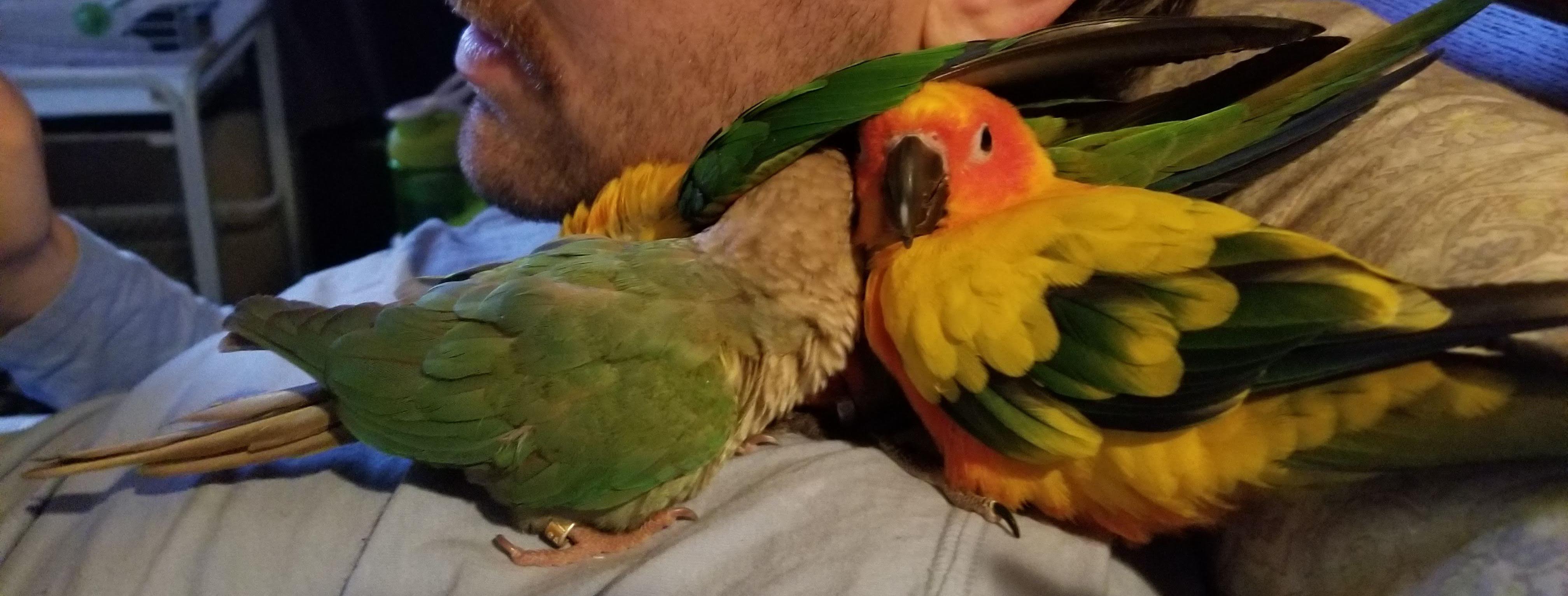 They're all hungover from the party | Scrolller