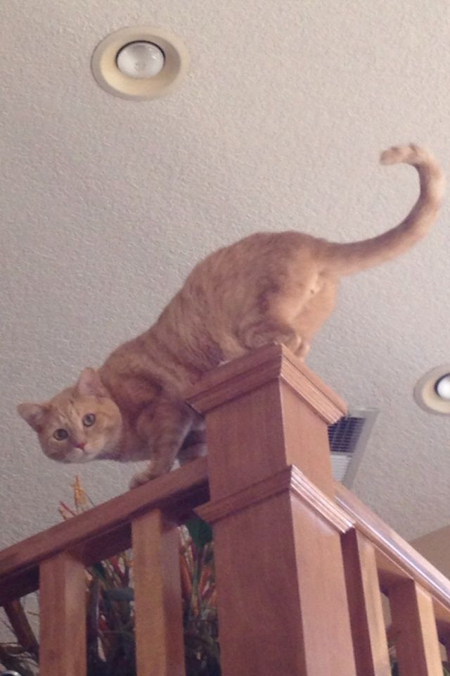 They're here. | Scrolller