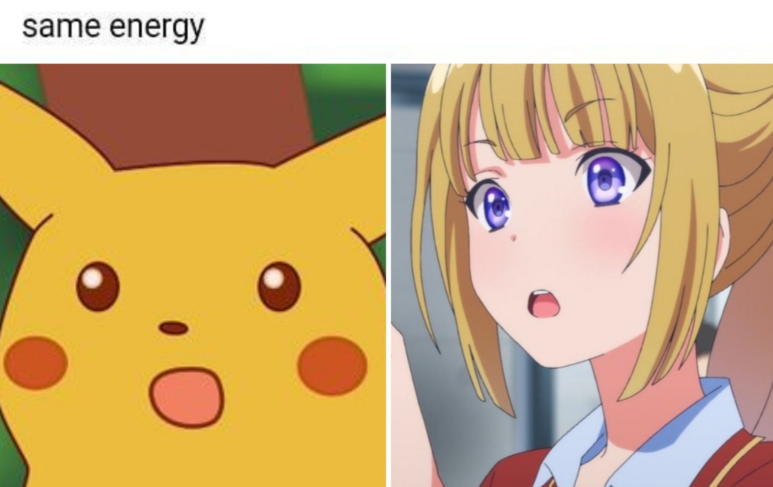 They're literally the same picture. | Scrolller