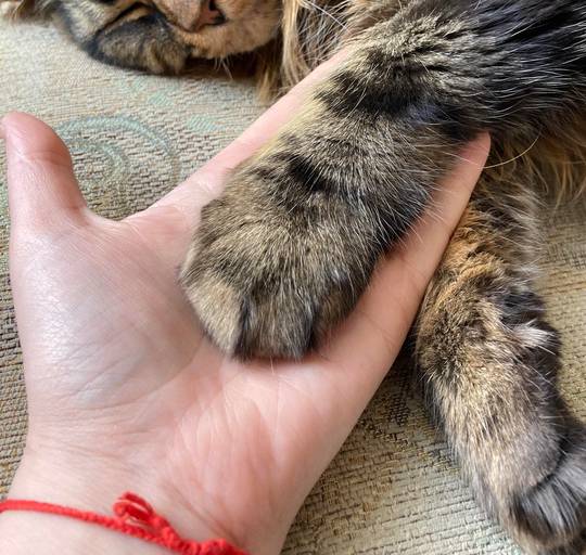 Thick boi | Scrolller