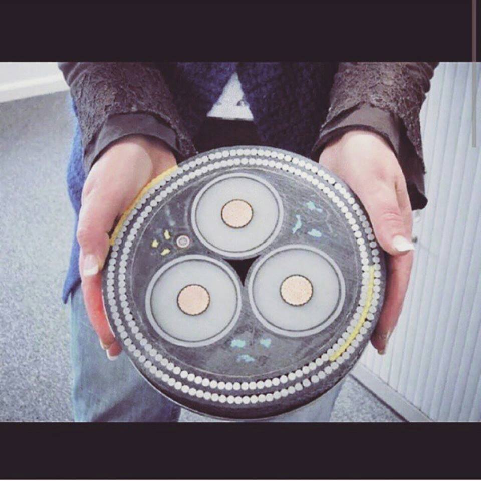 [Thingscutinhalf] Cross-section of an Undersea Optical Fiber Cable [960x960] | Scrolller