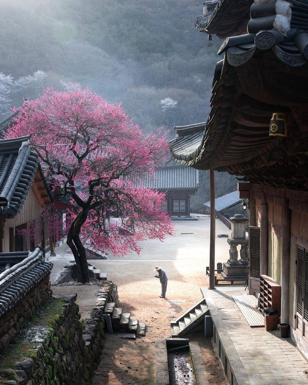 This Buddhist temple | Scrolller