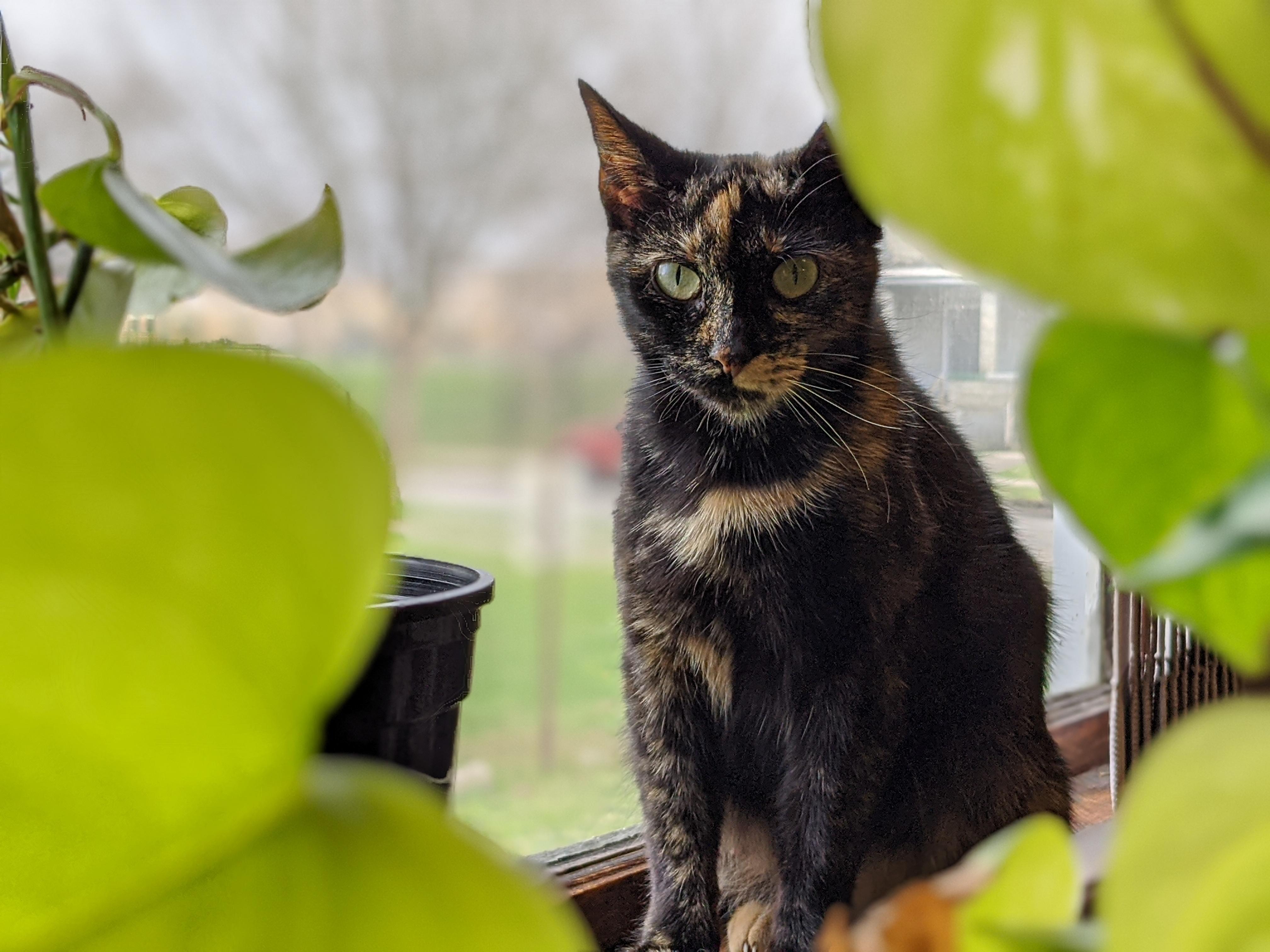 This Camera рџ ґ Scrolller