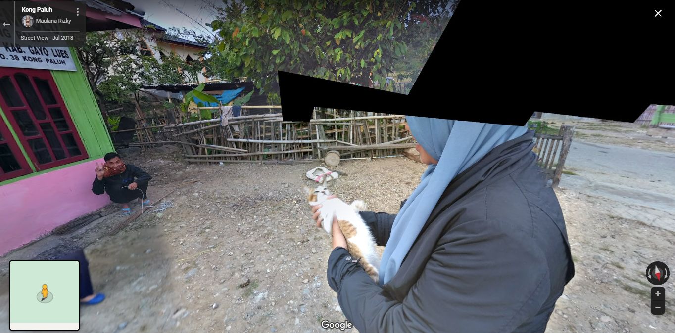 This cat at Kong Paluh in Indonesia. | Scrolller