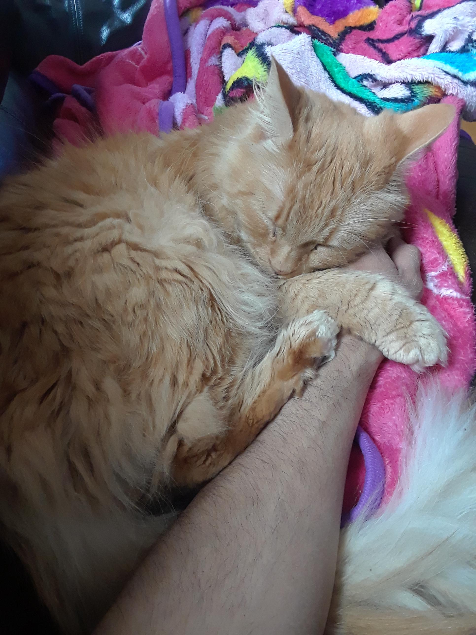 This cuddly baby boy😻 | Scrolller