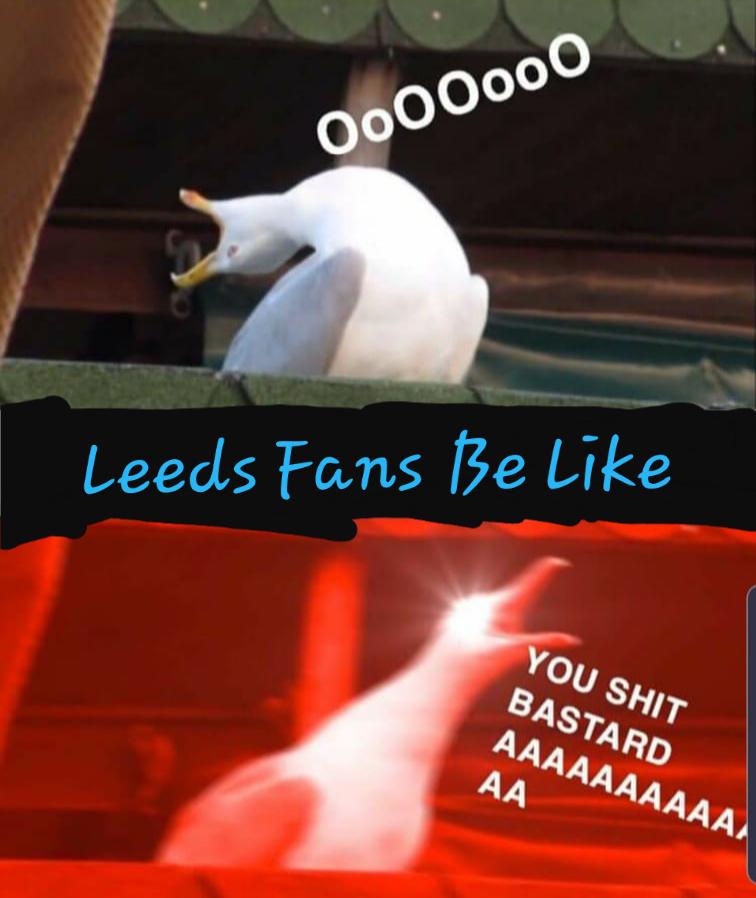 This do be true at the matches MOT | Scrolller