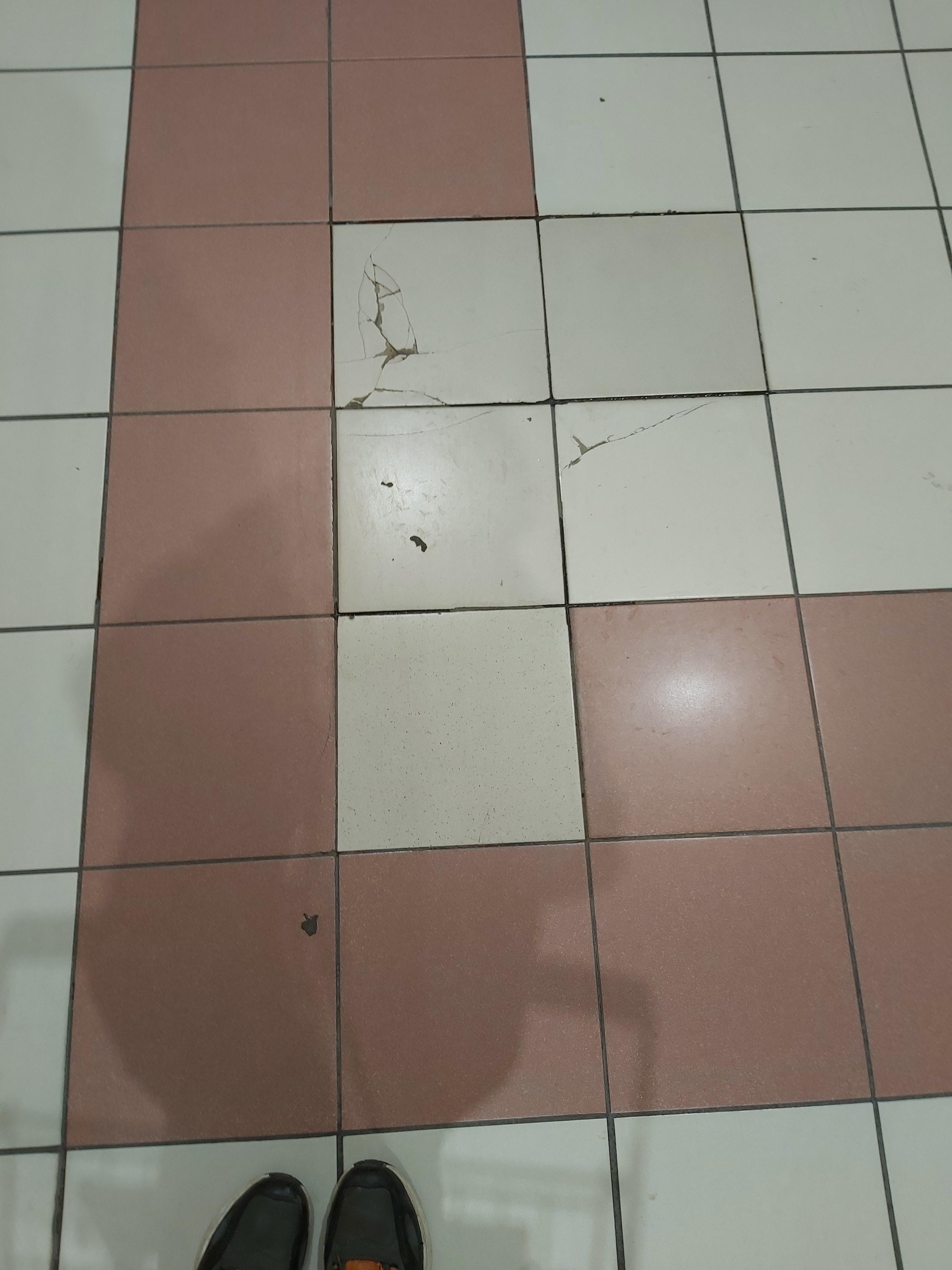 This floor | Scrolller