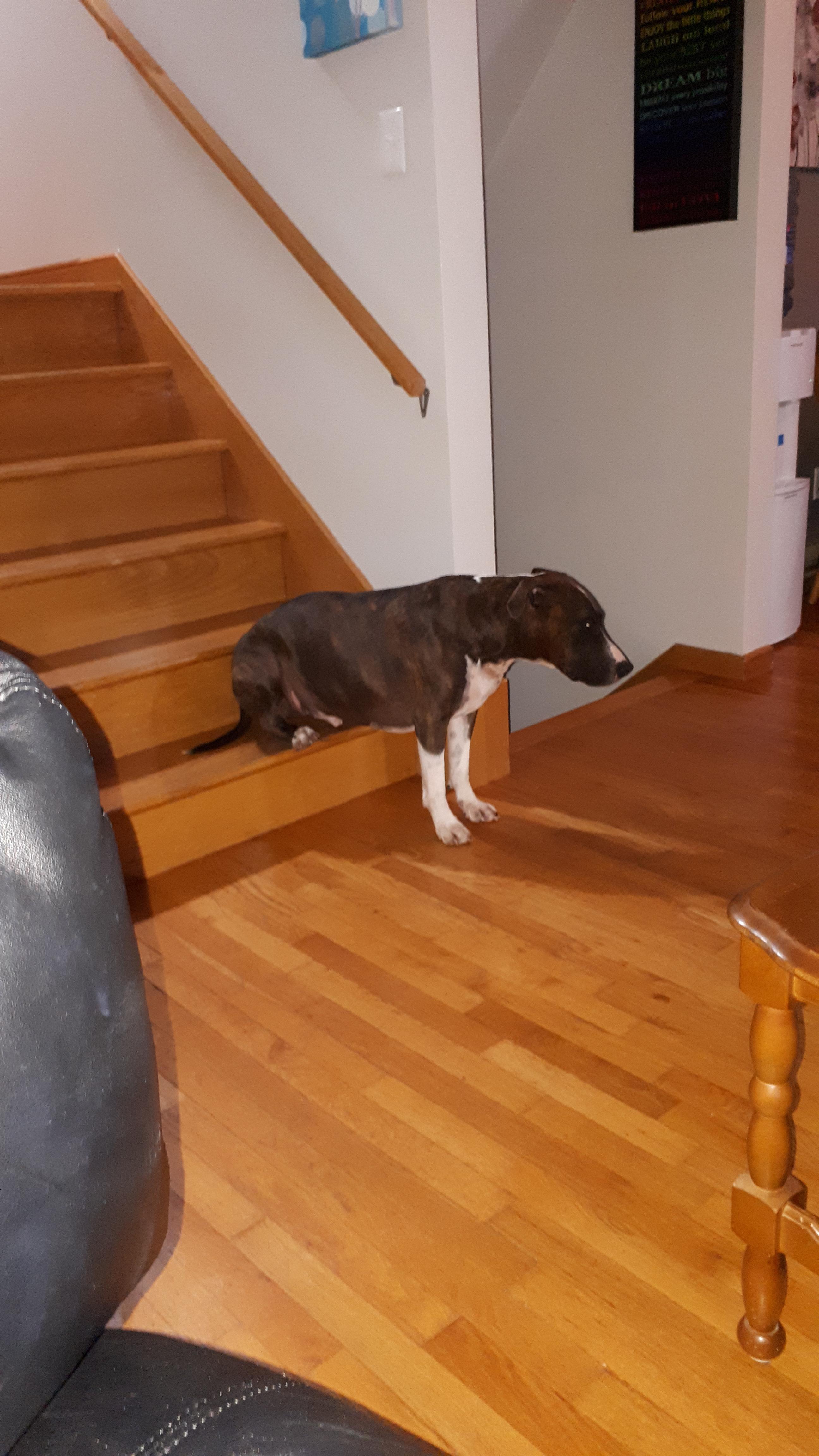 This guy. | Scrolller