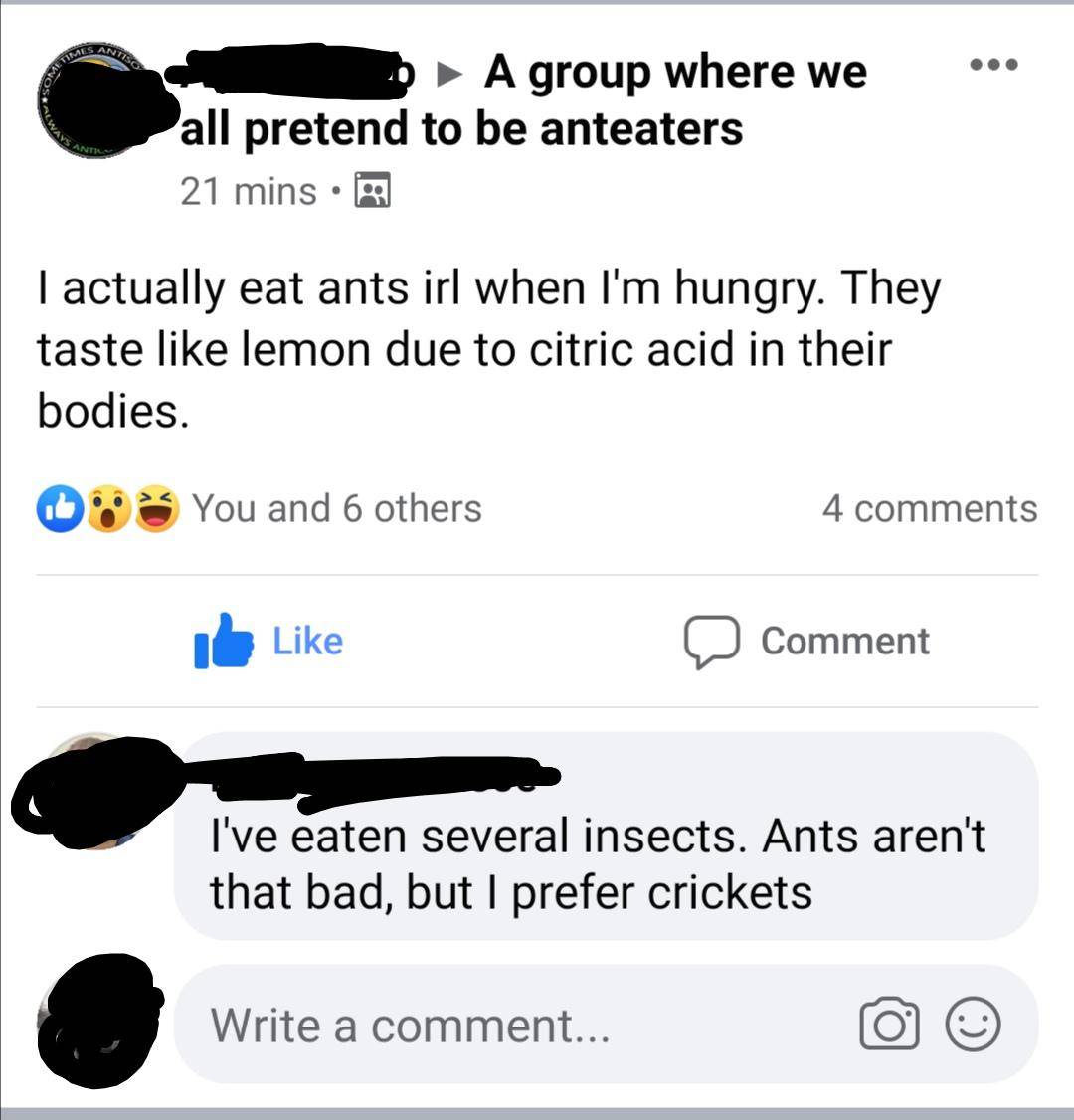 This guy | Scrolller