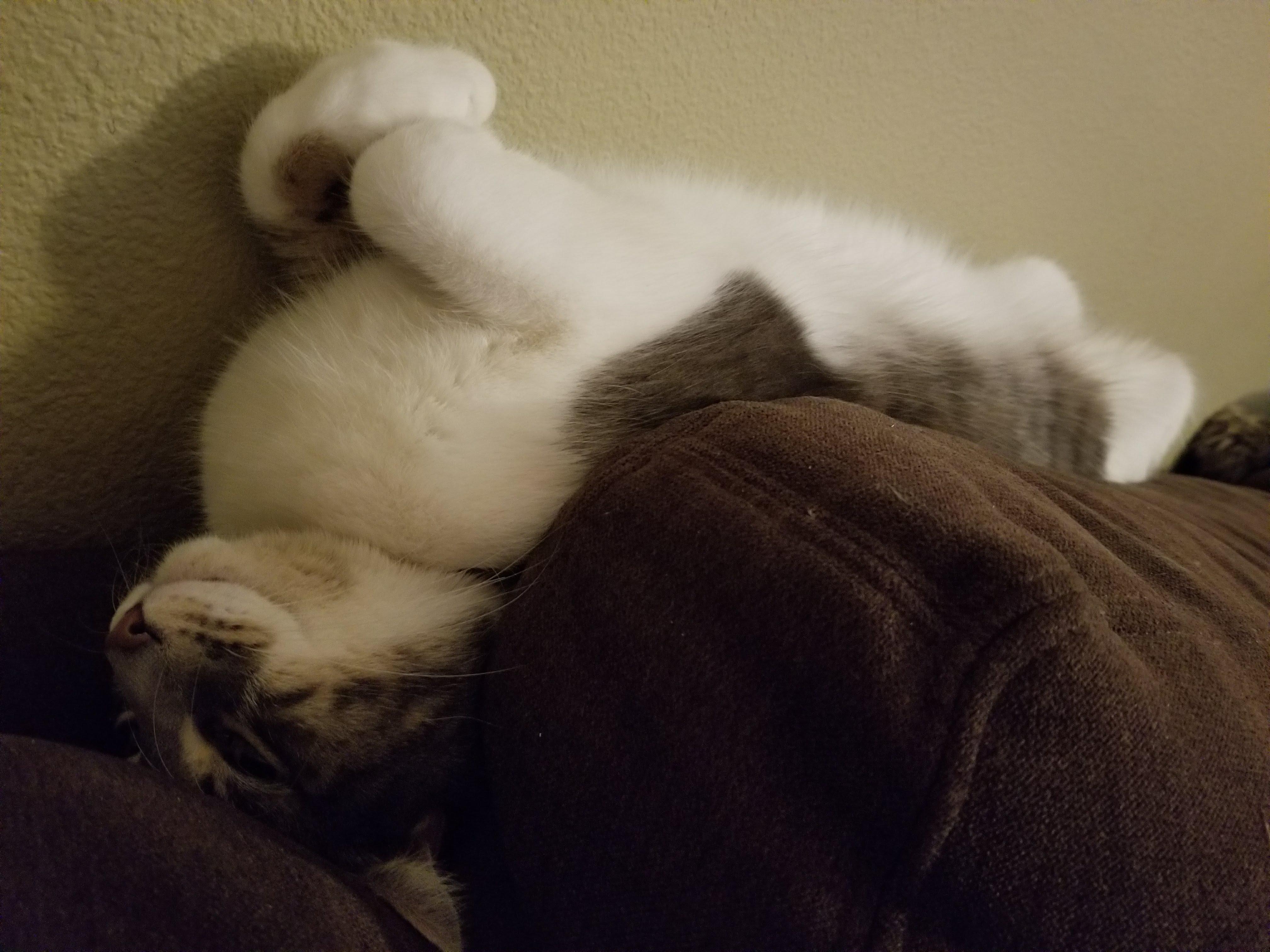 This guy..... | Scrolller