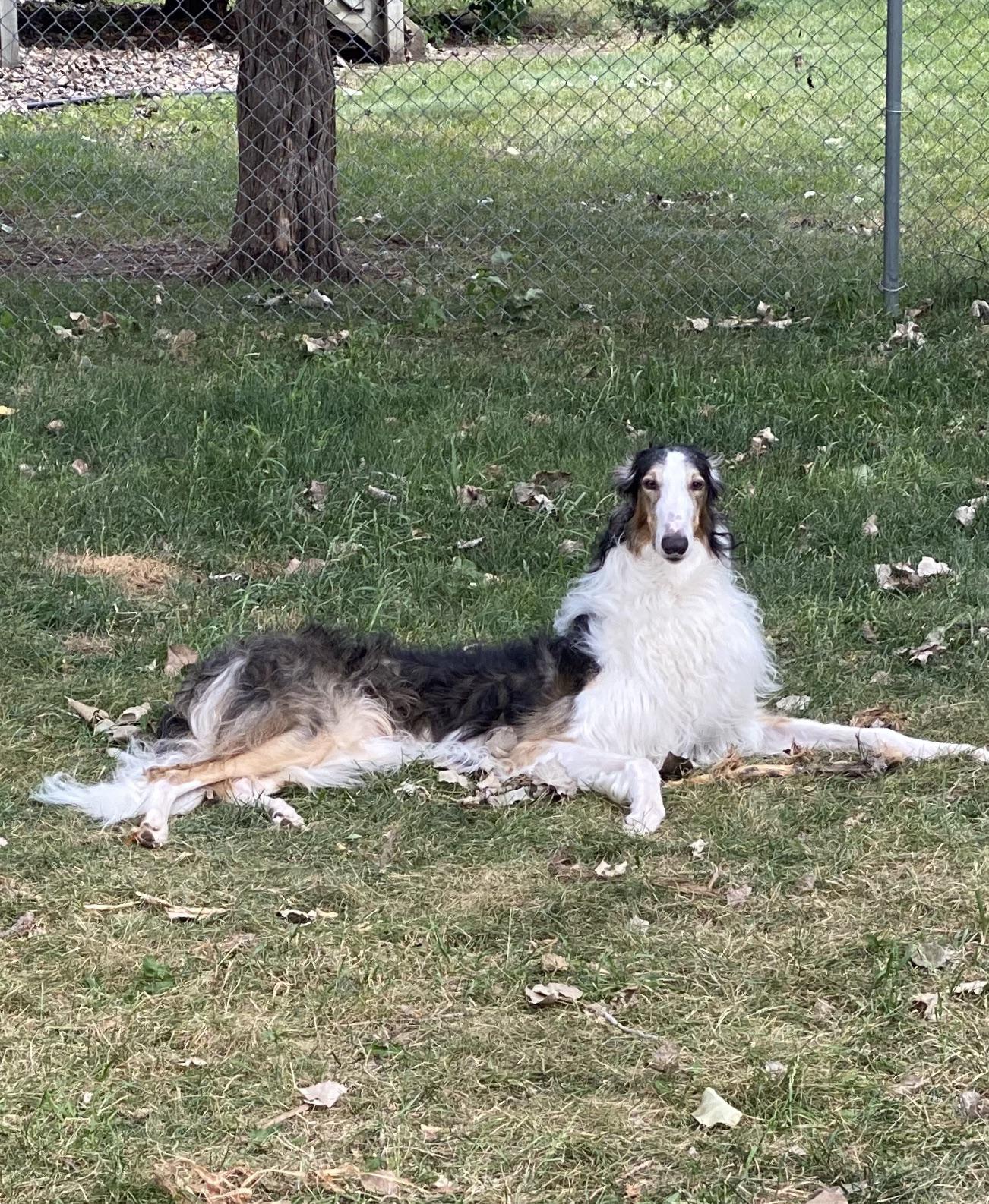 This handsome boy is 2 today! | Scrolller