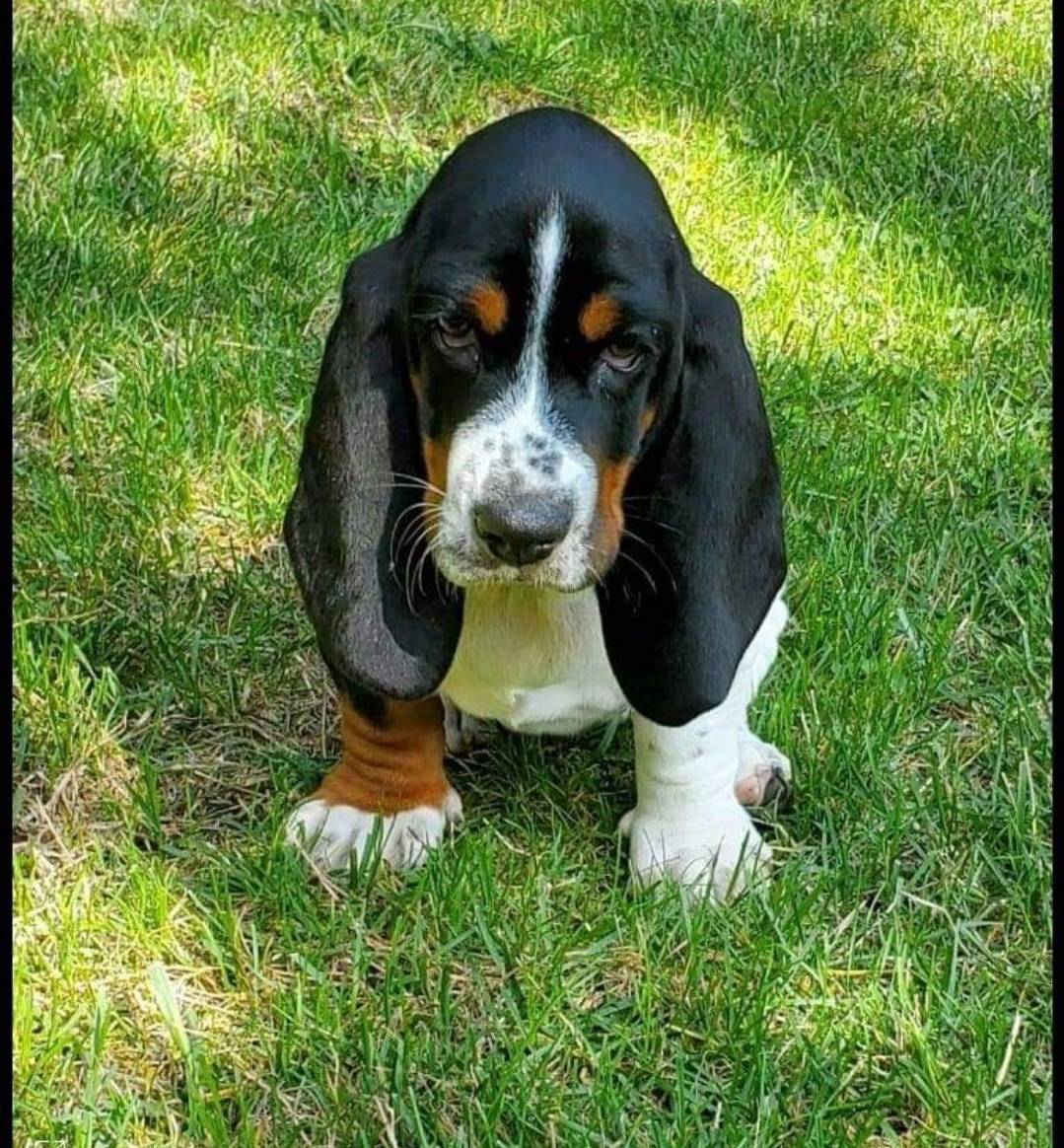 This is a picture of jake when he was first born | Scrolller