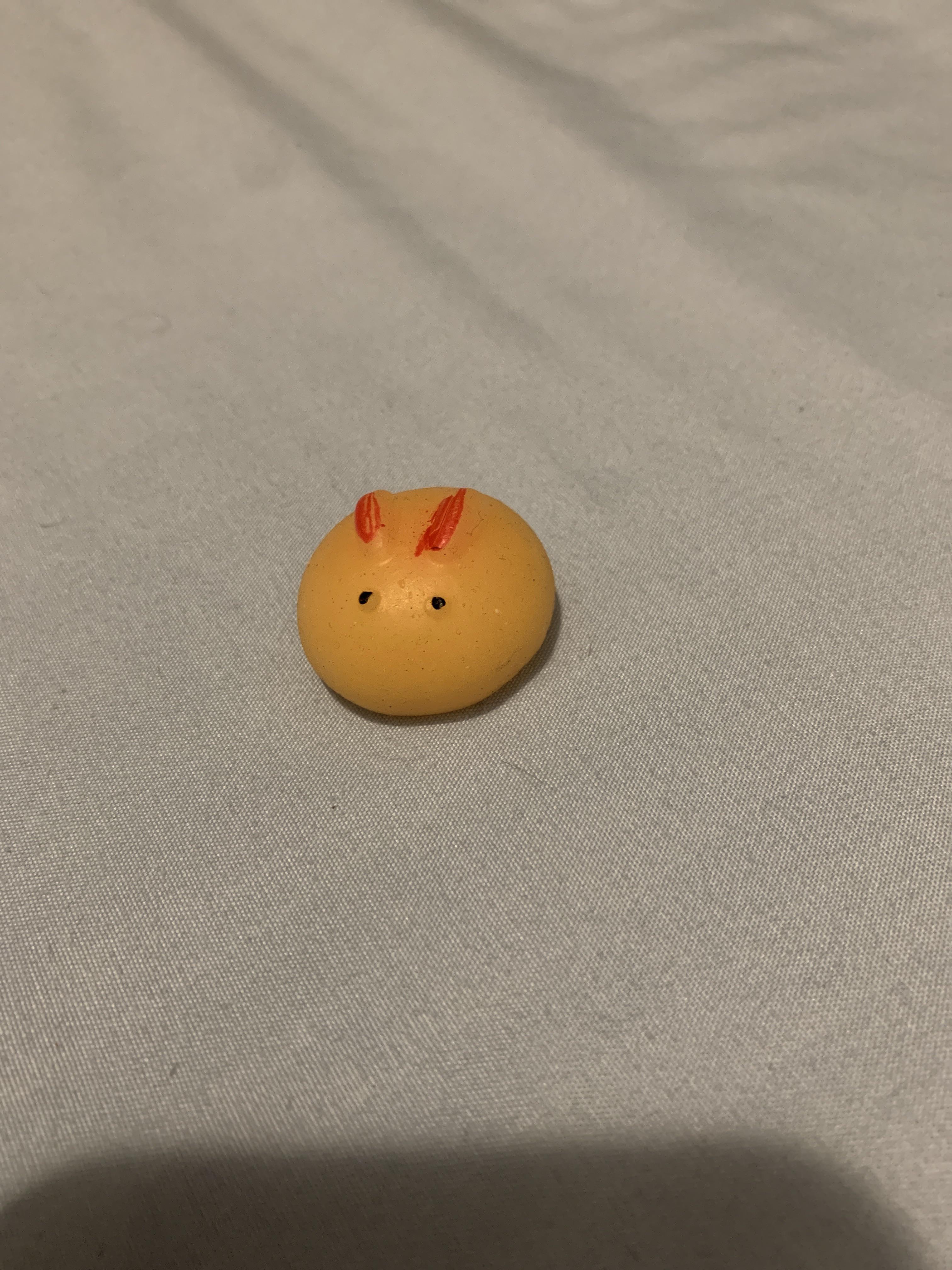 This is Bleb. I got him in an egg today please treat him nice | Scrolller