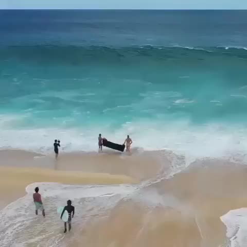 This is dedication. | Scrolller