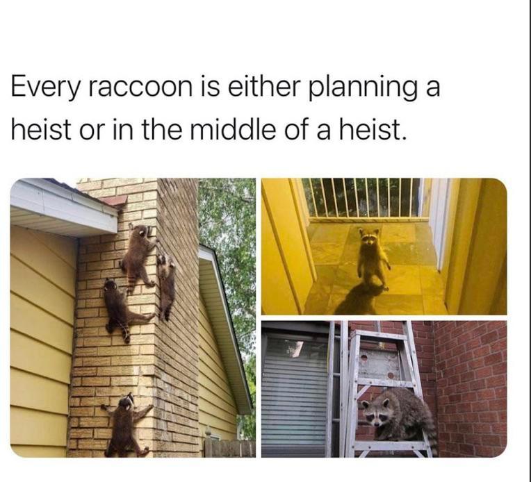 This is facts | Scrolller