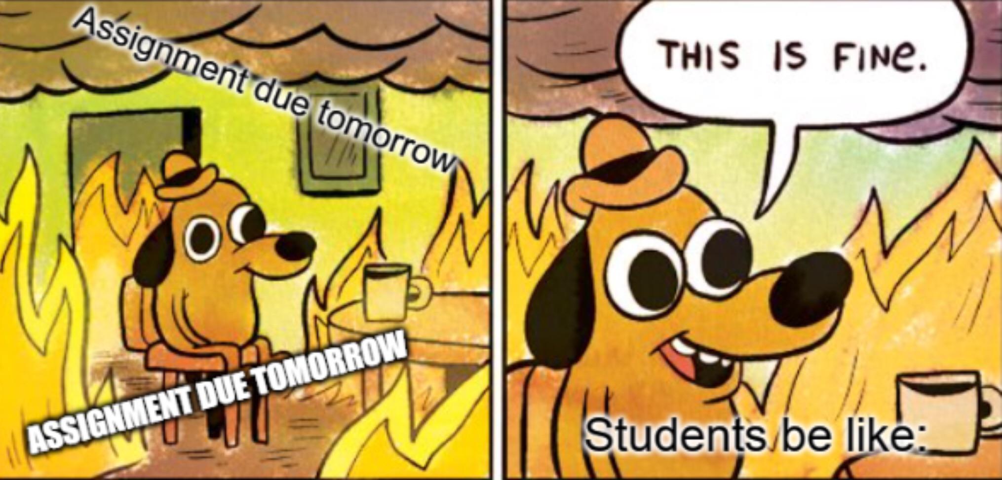 This is Fine | Scrolller