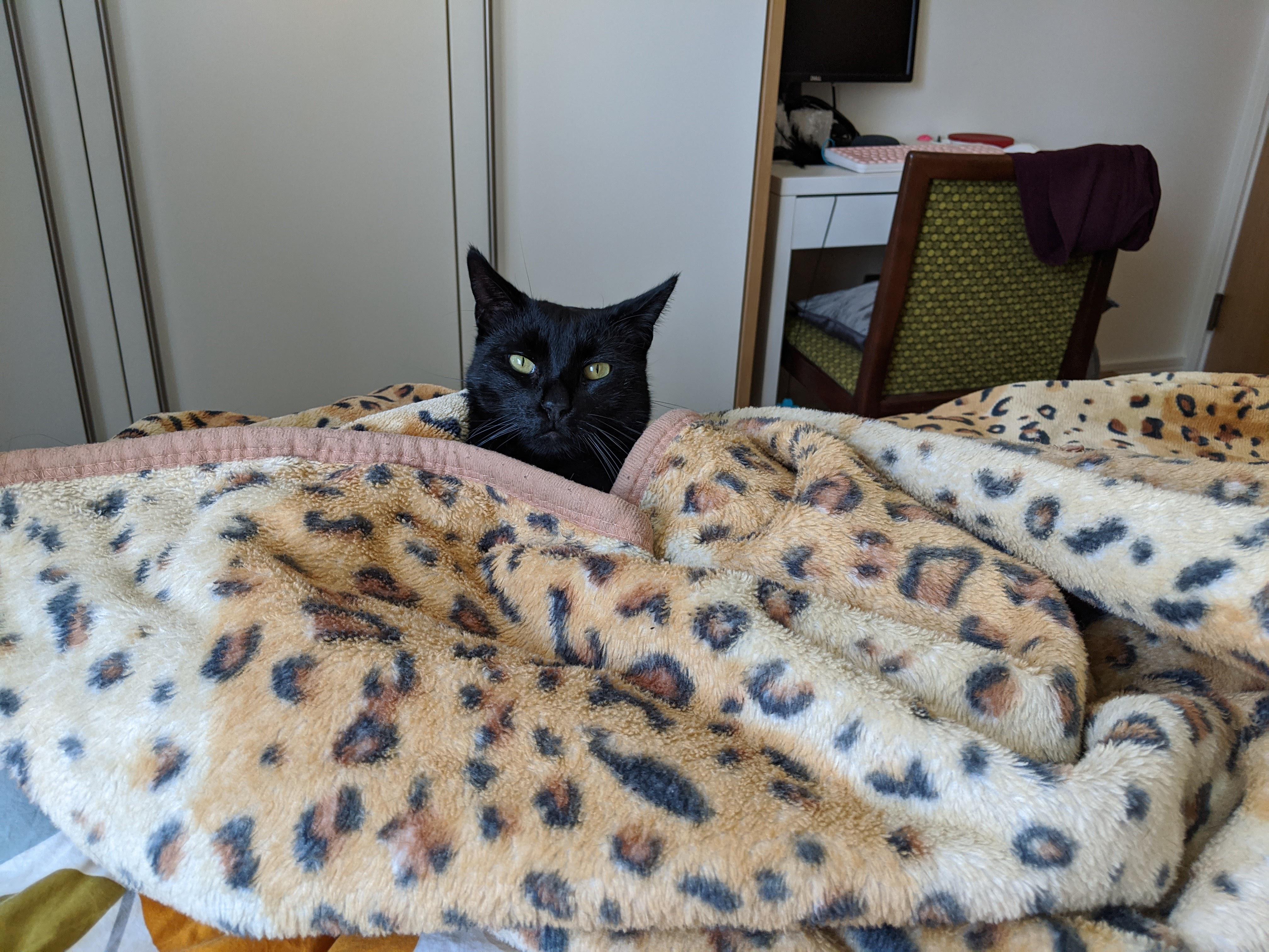 This is Gary | Scrolller