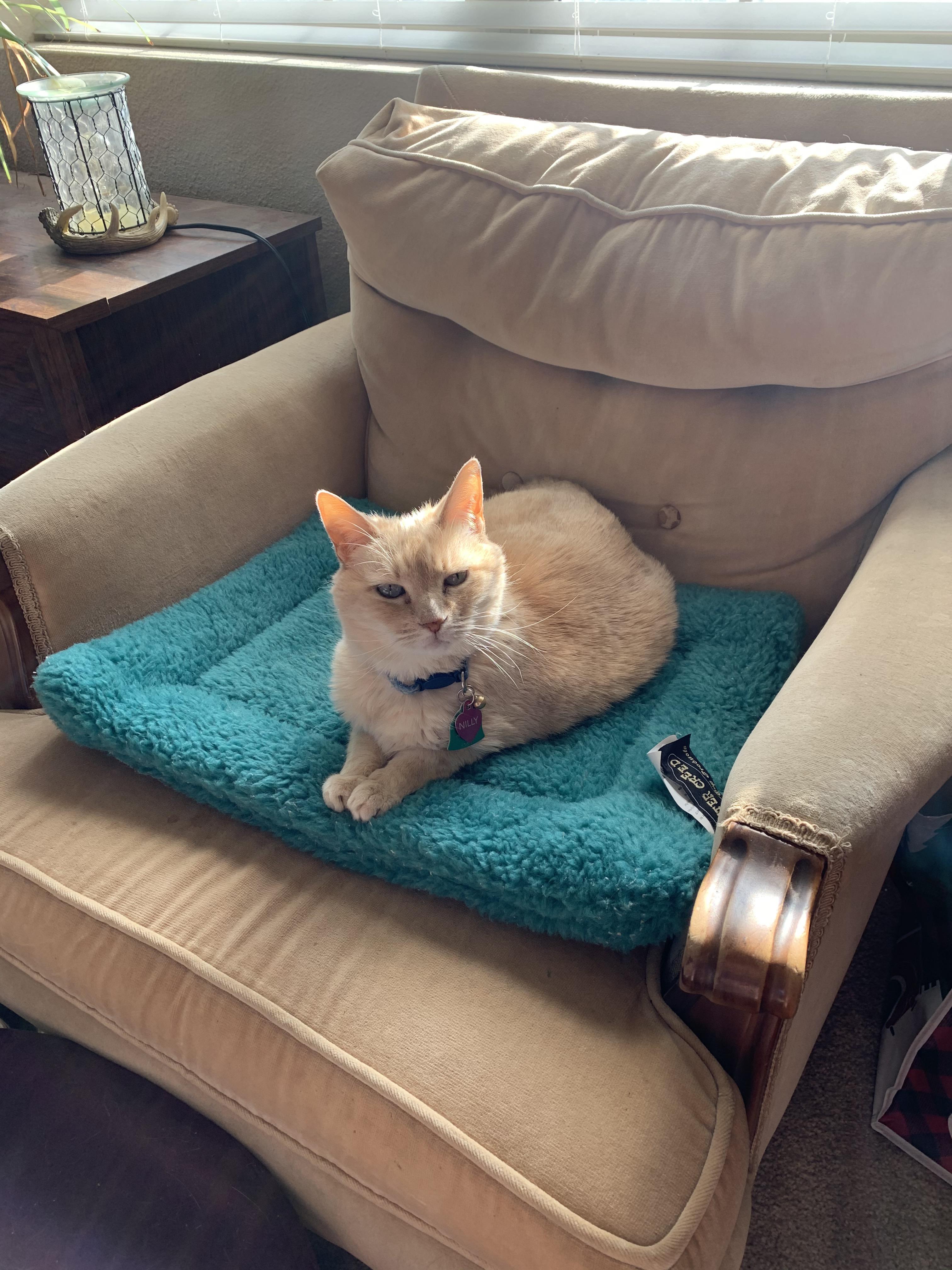 This is HER chair. | Scrolller