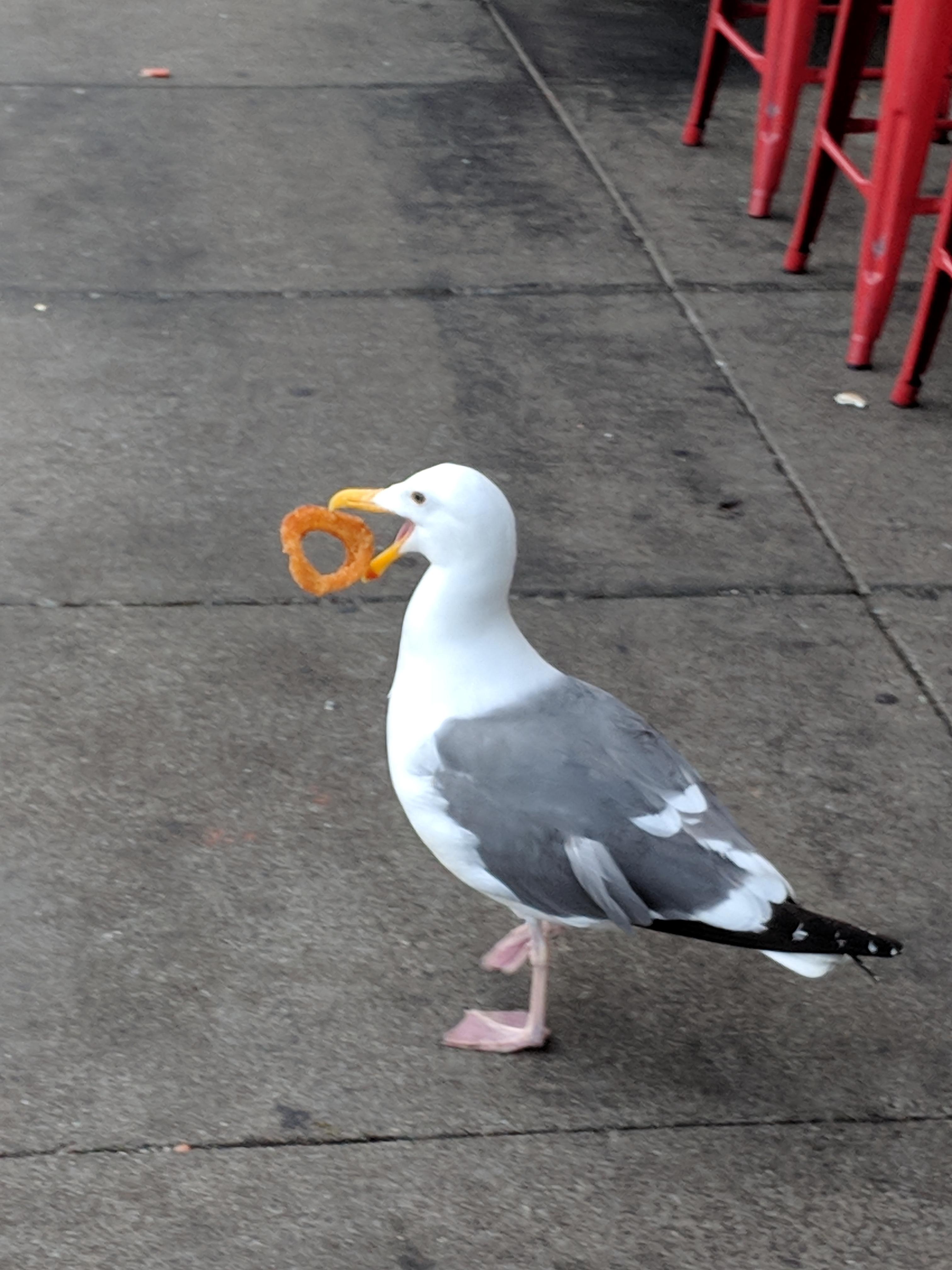 This is mine now | Scrolller