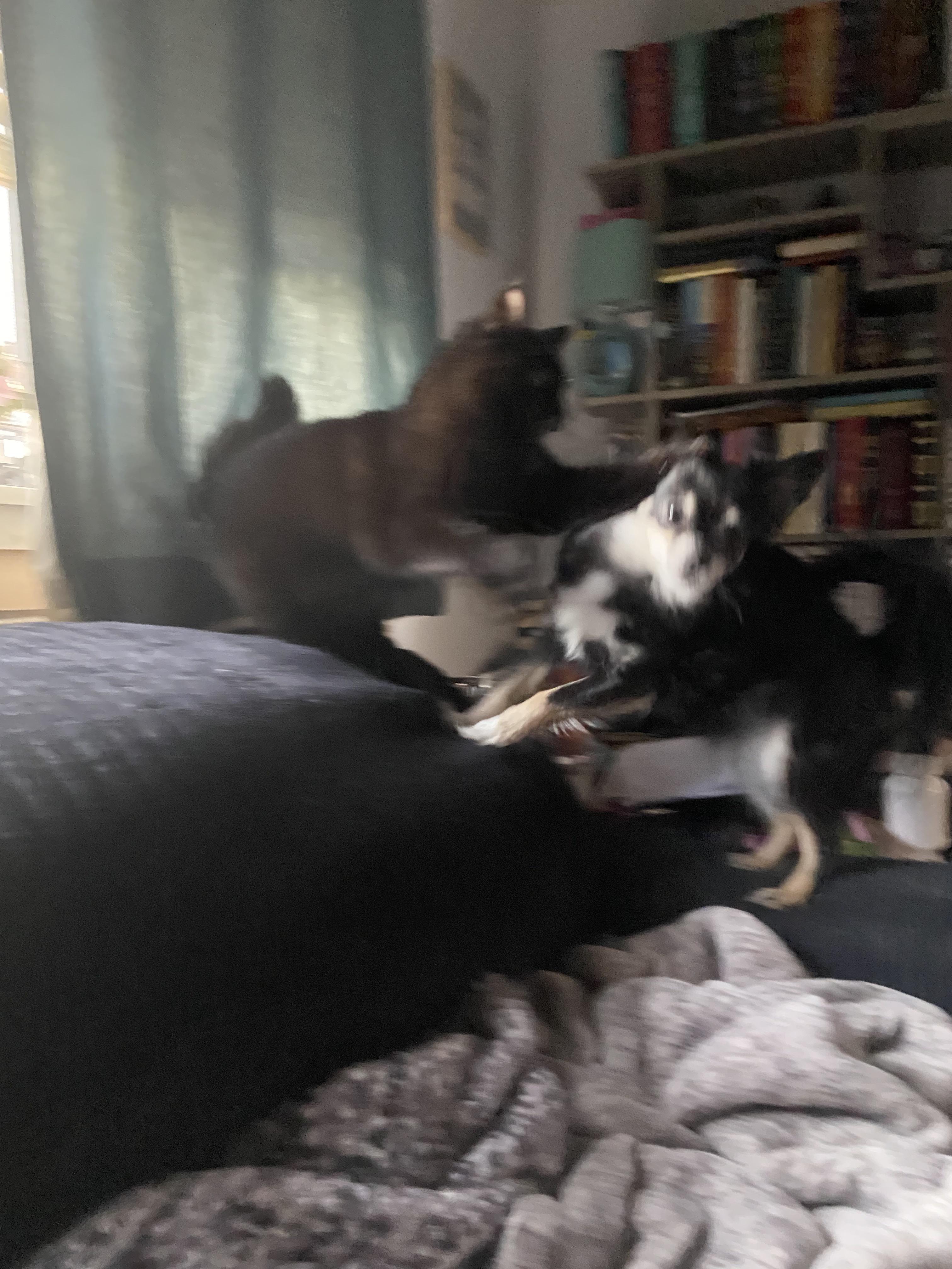 ‘This is MY window’ | Scrolller