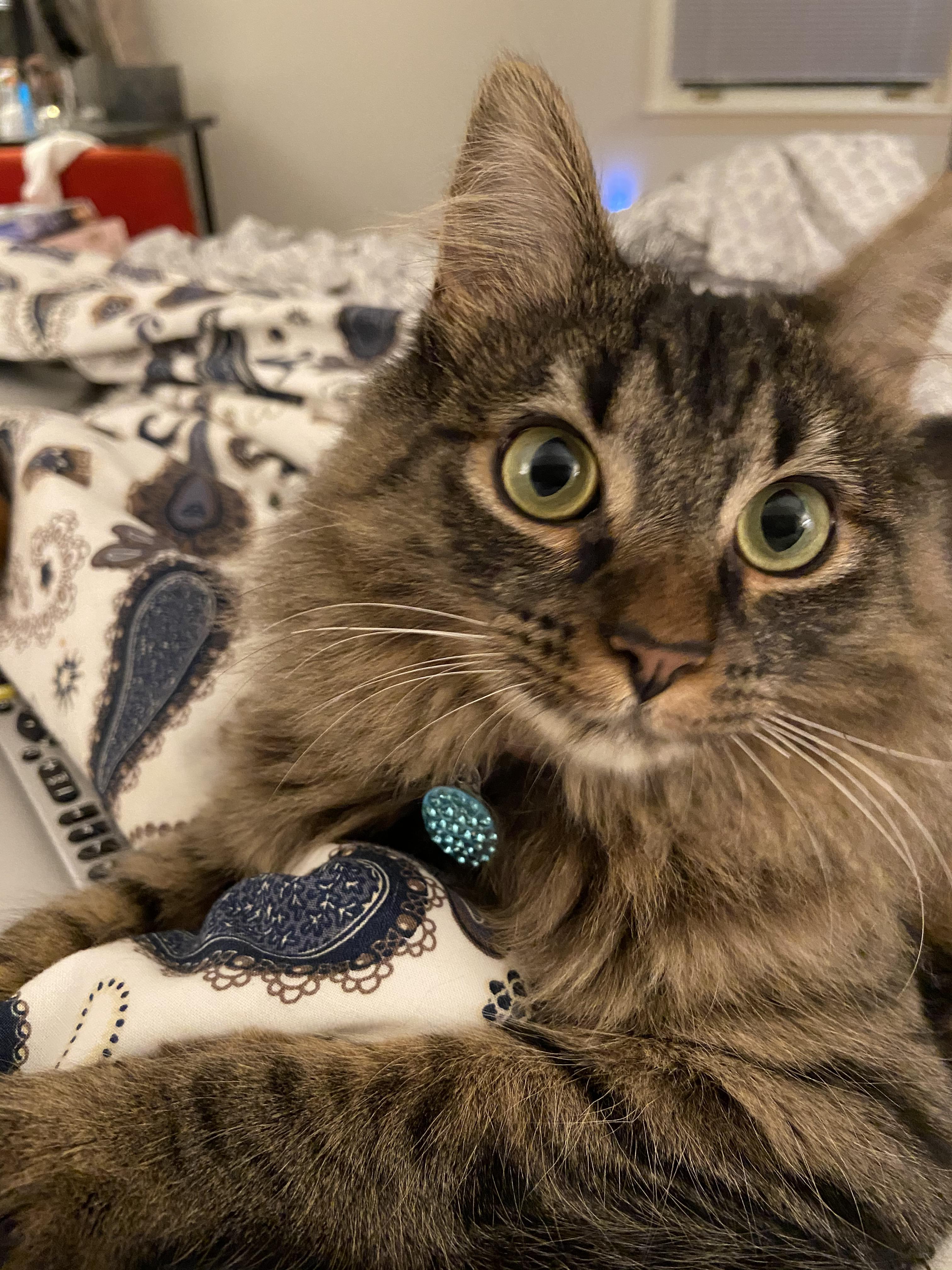 This is tabitha | Scrolller