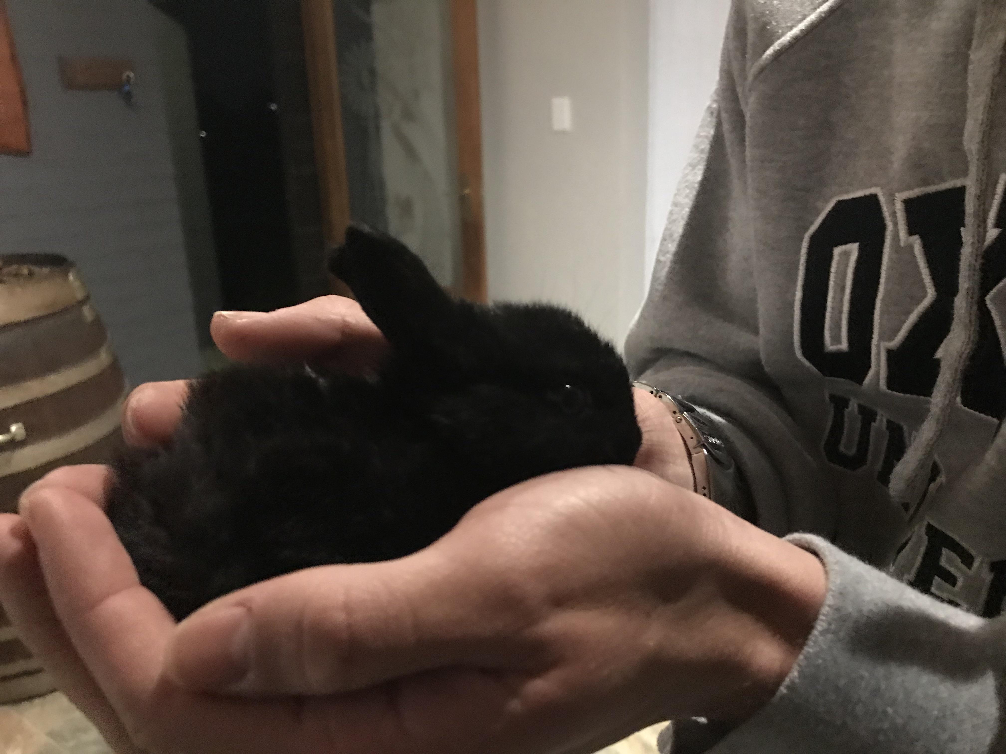 This is Theodore | Scrolller