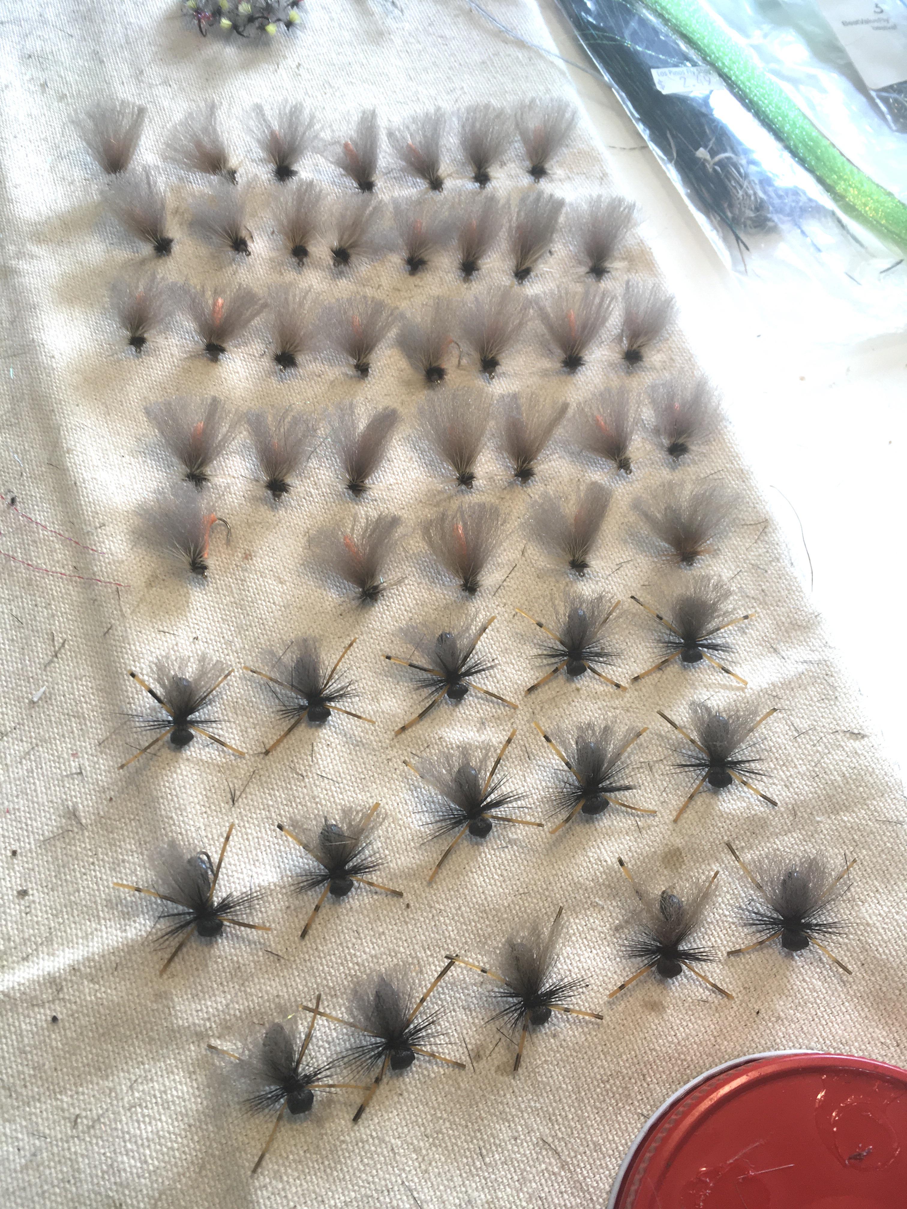 This is what self isolation looks like | Scrolller