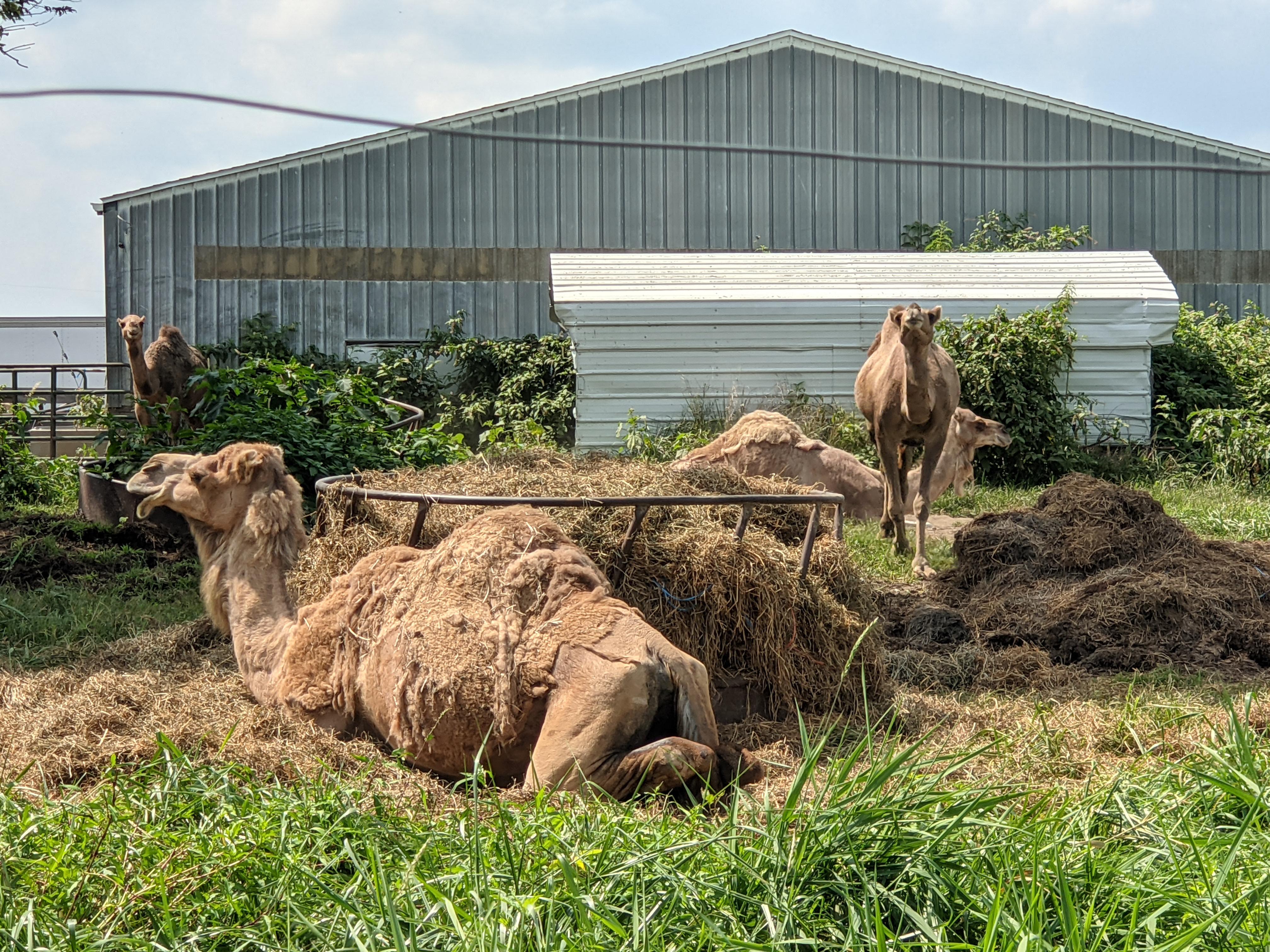 This is why I drive the backroads home: Marshall County edition | Scrolller