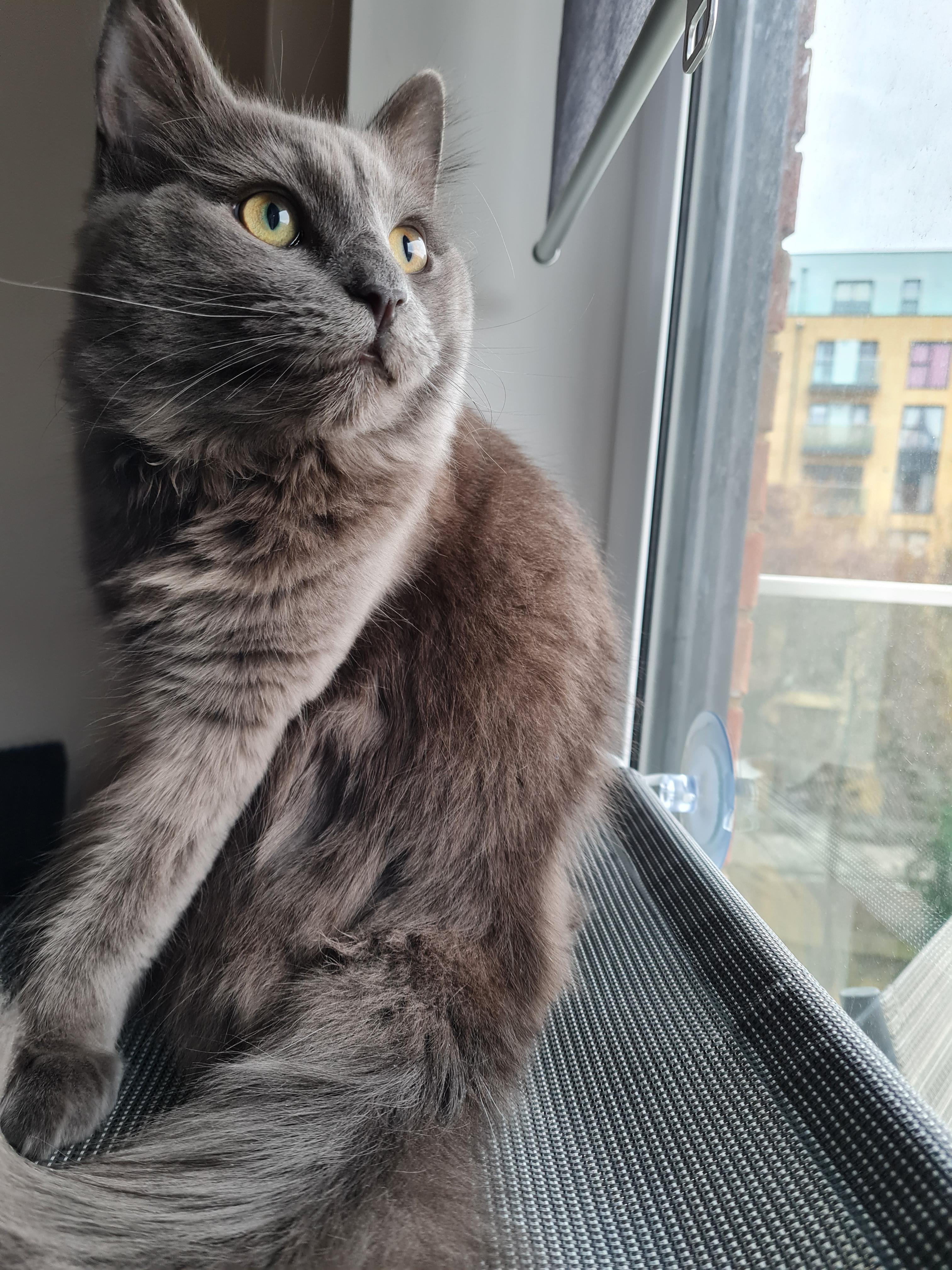 This little guy! | Scrolller