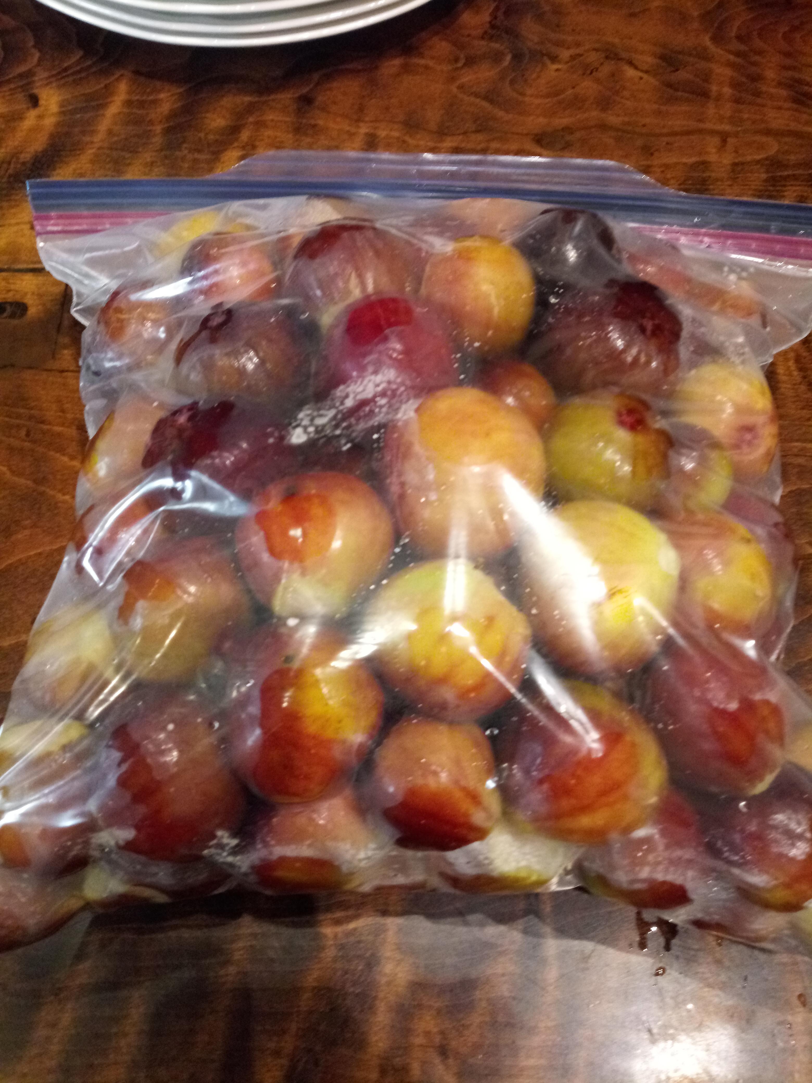 This makes gallon number 3 in the freezer. | Scrolller