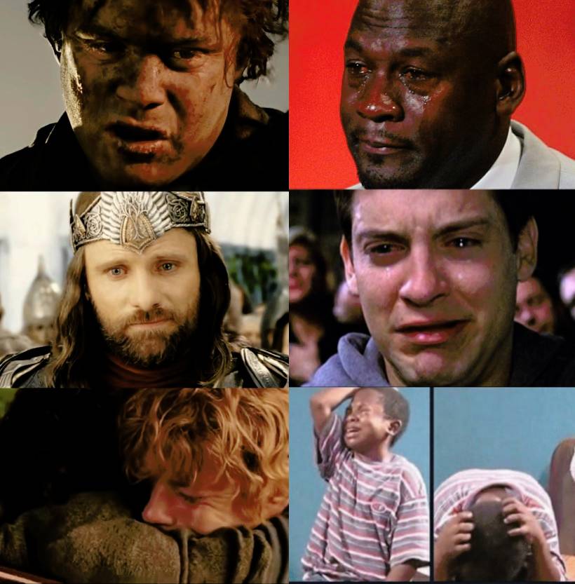 This meme has no captions. This meme needs no captions. | Scrolller