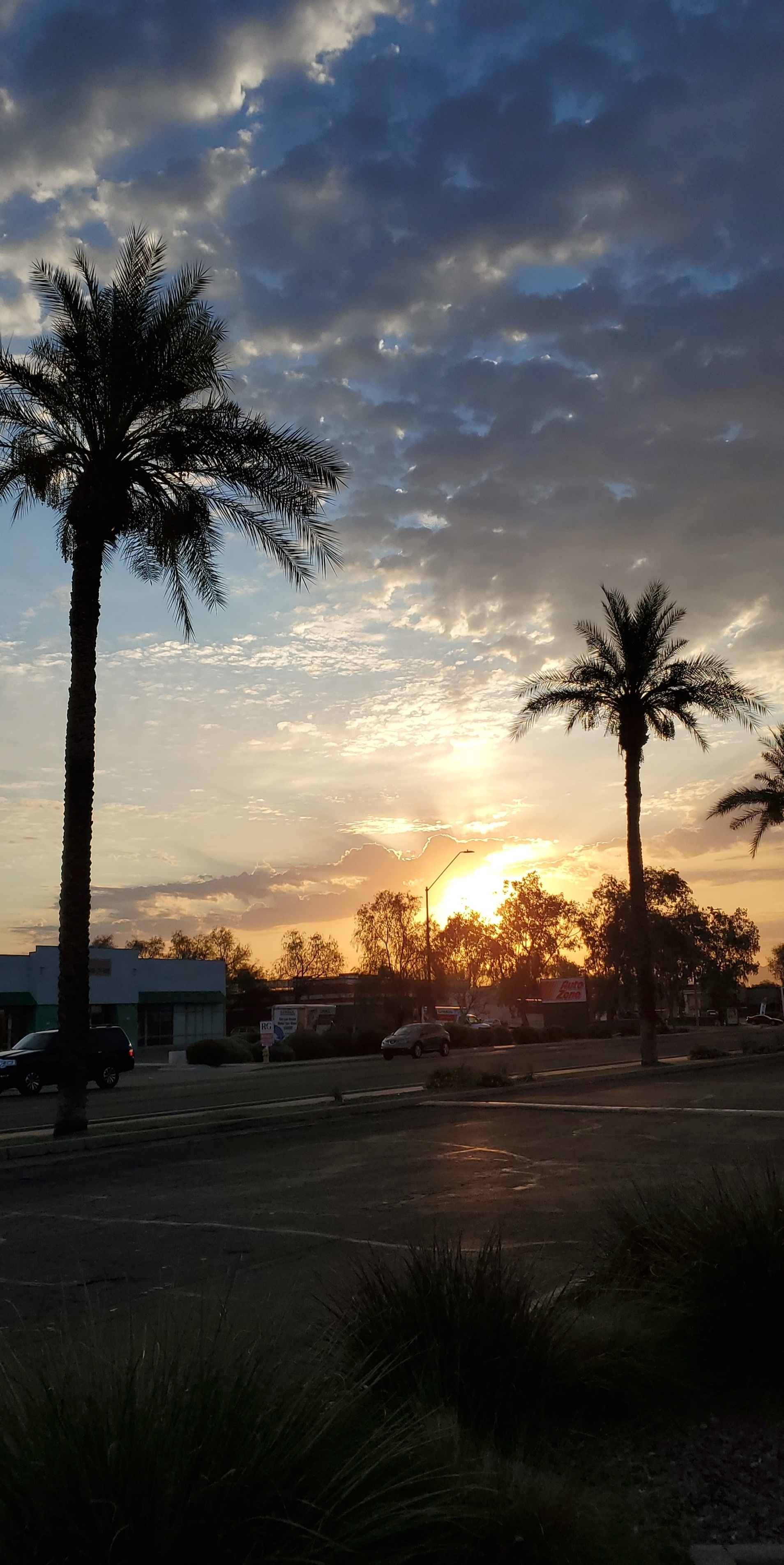 This morning N. Phx | Scrolller