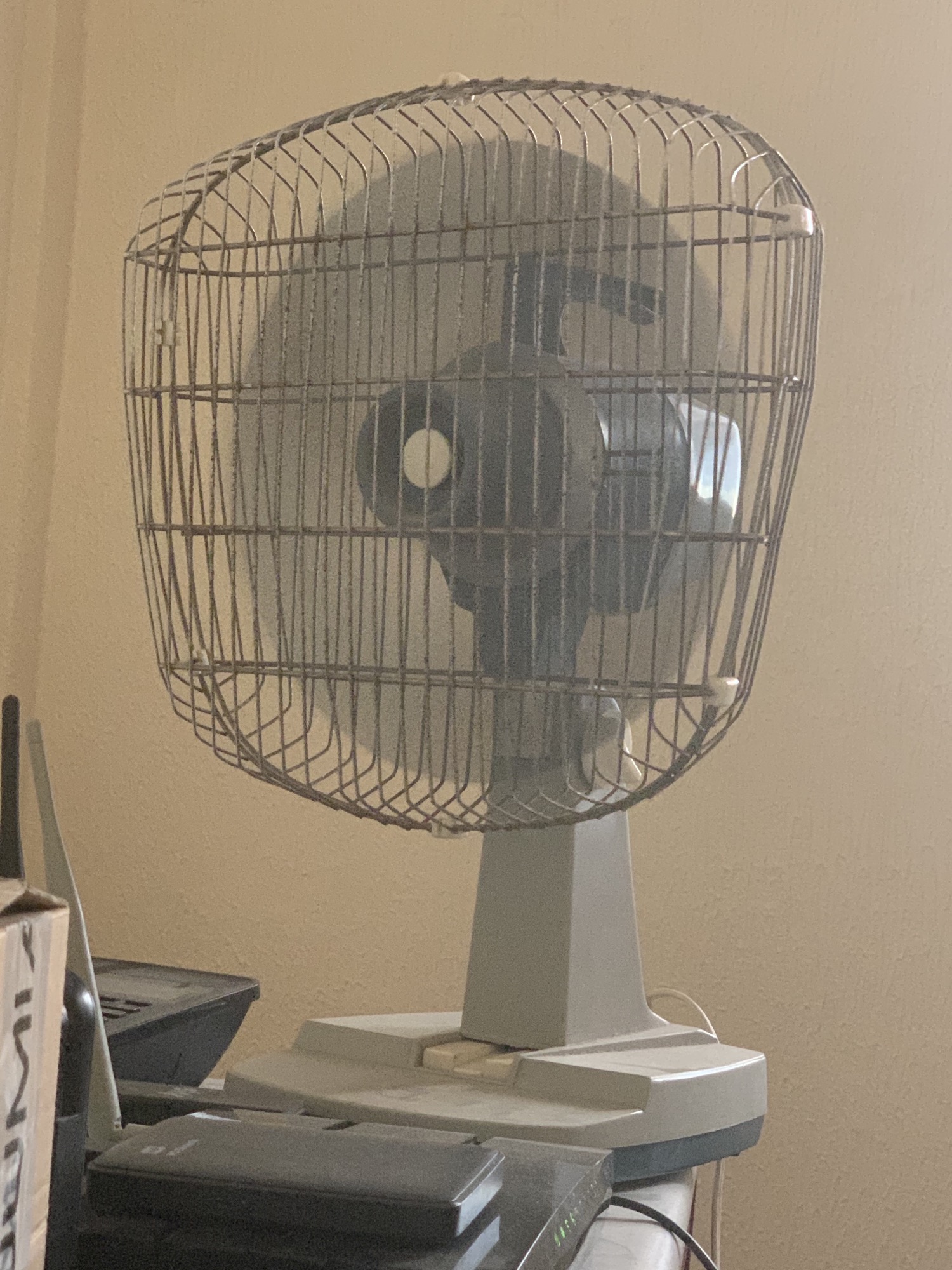 This old lady still working it hard | Scrolller