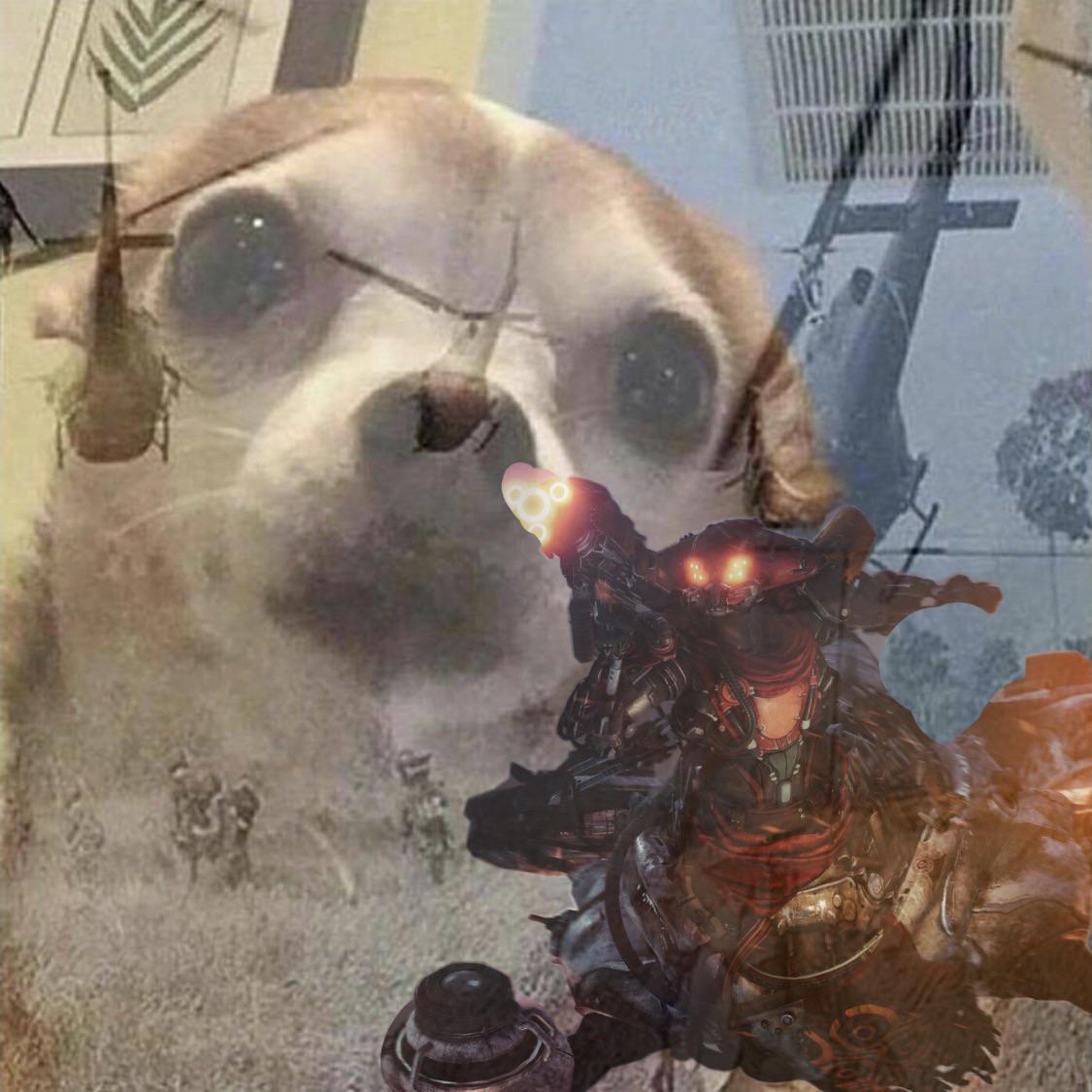 This poor guy. | Scrolller