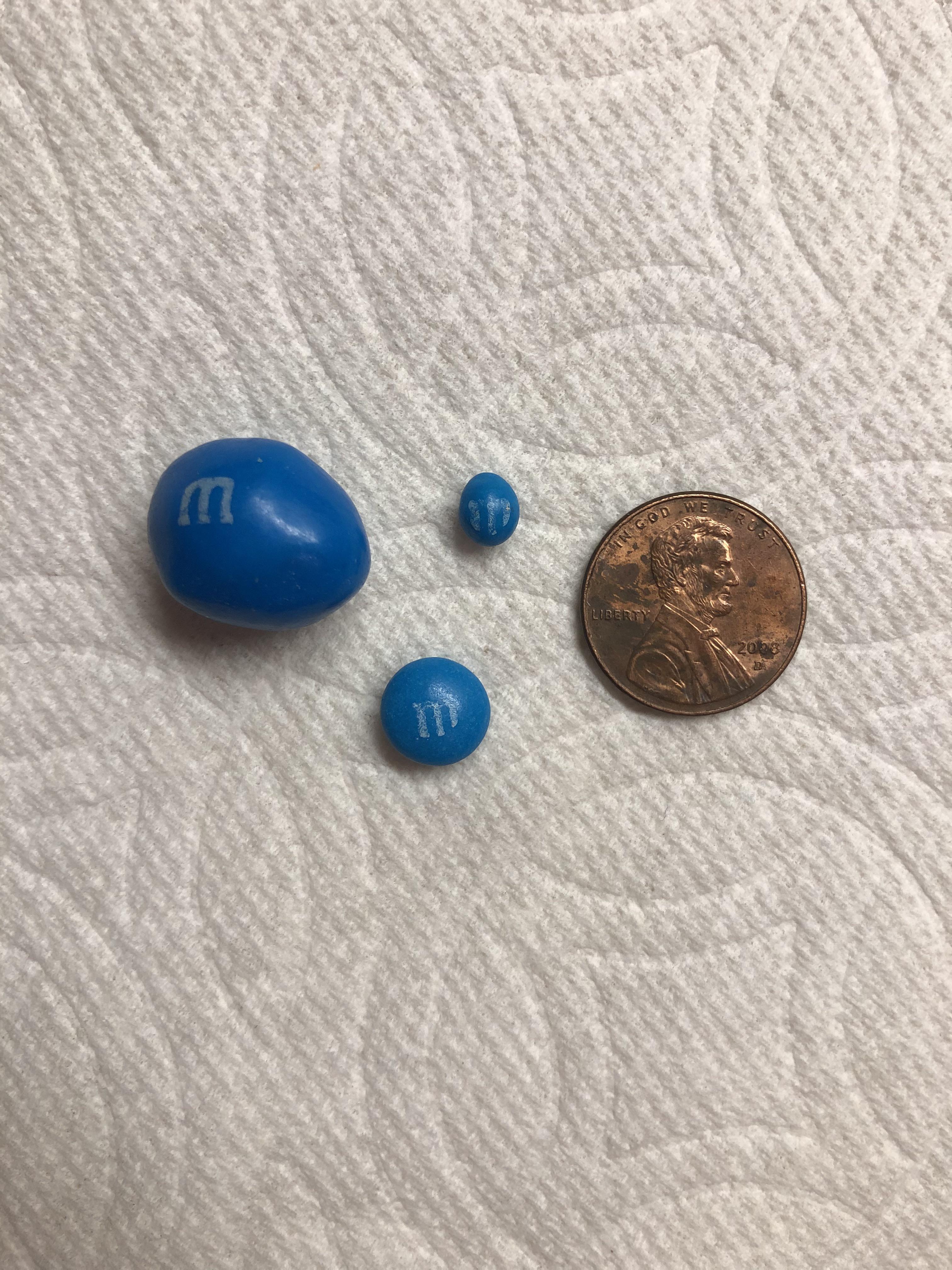 This tiny M&M | Scrolller