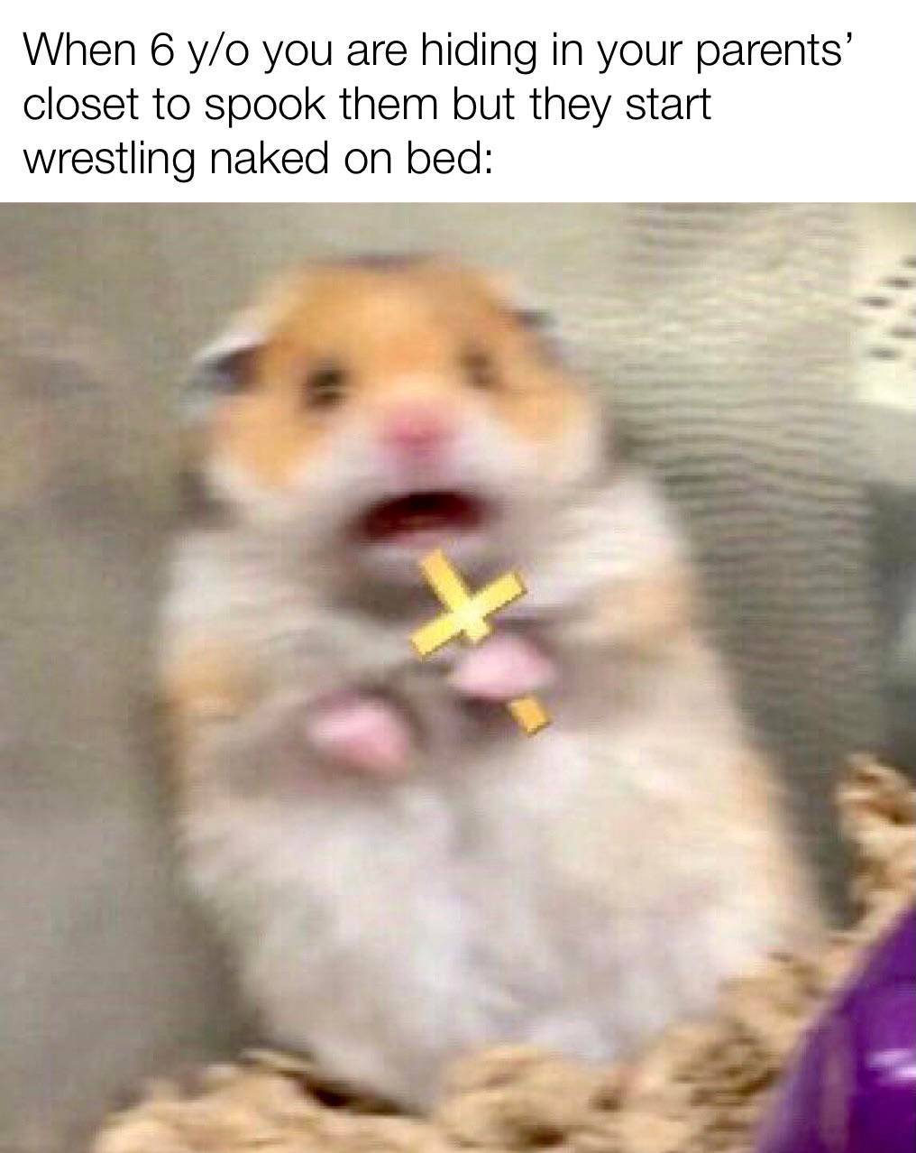 This totally scared me | Scrolller