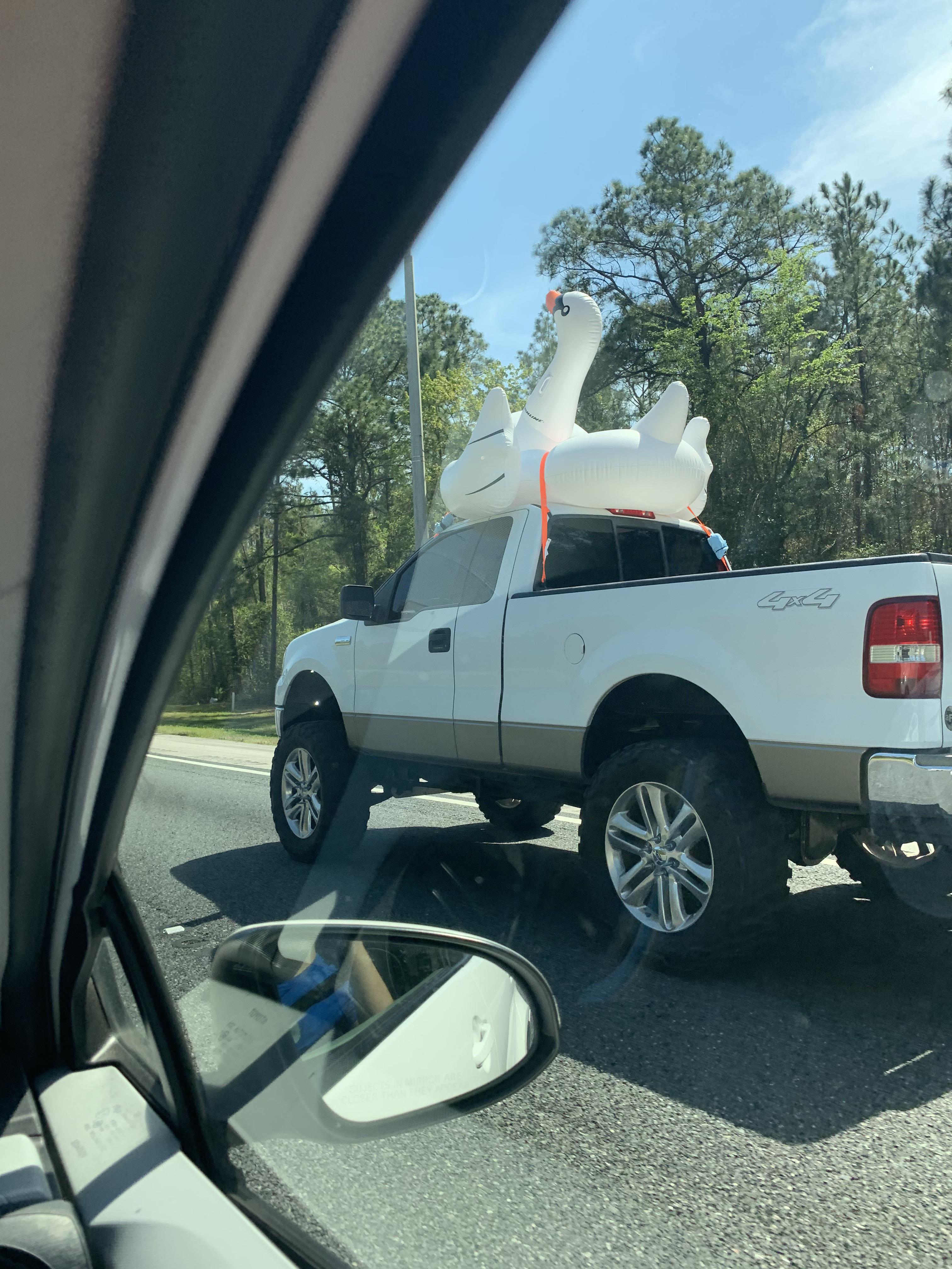 This truck I spotted on the highway | Scrolller