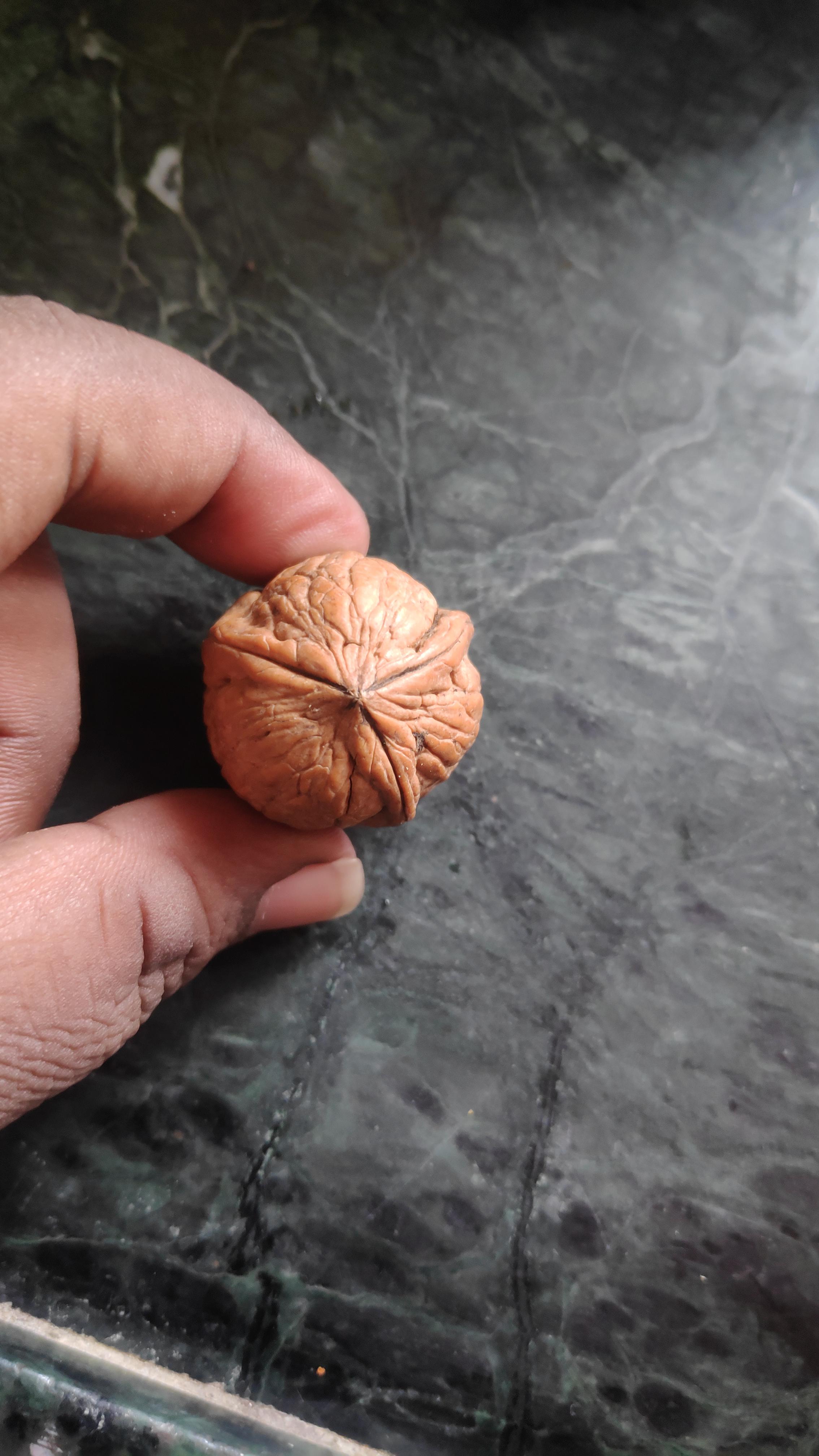 This walnut has three opening side. | Scrolller