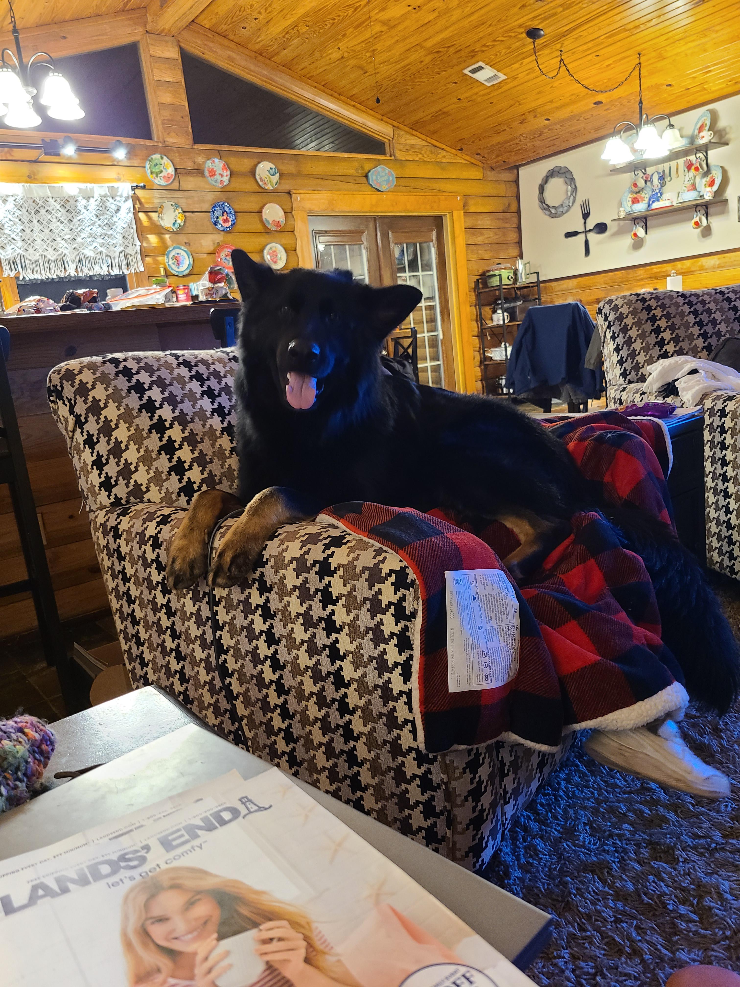 Thor in the lap if his tony human | Scrolller