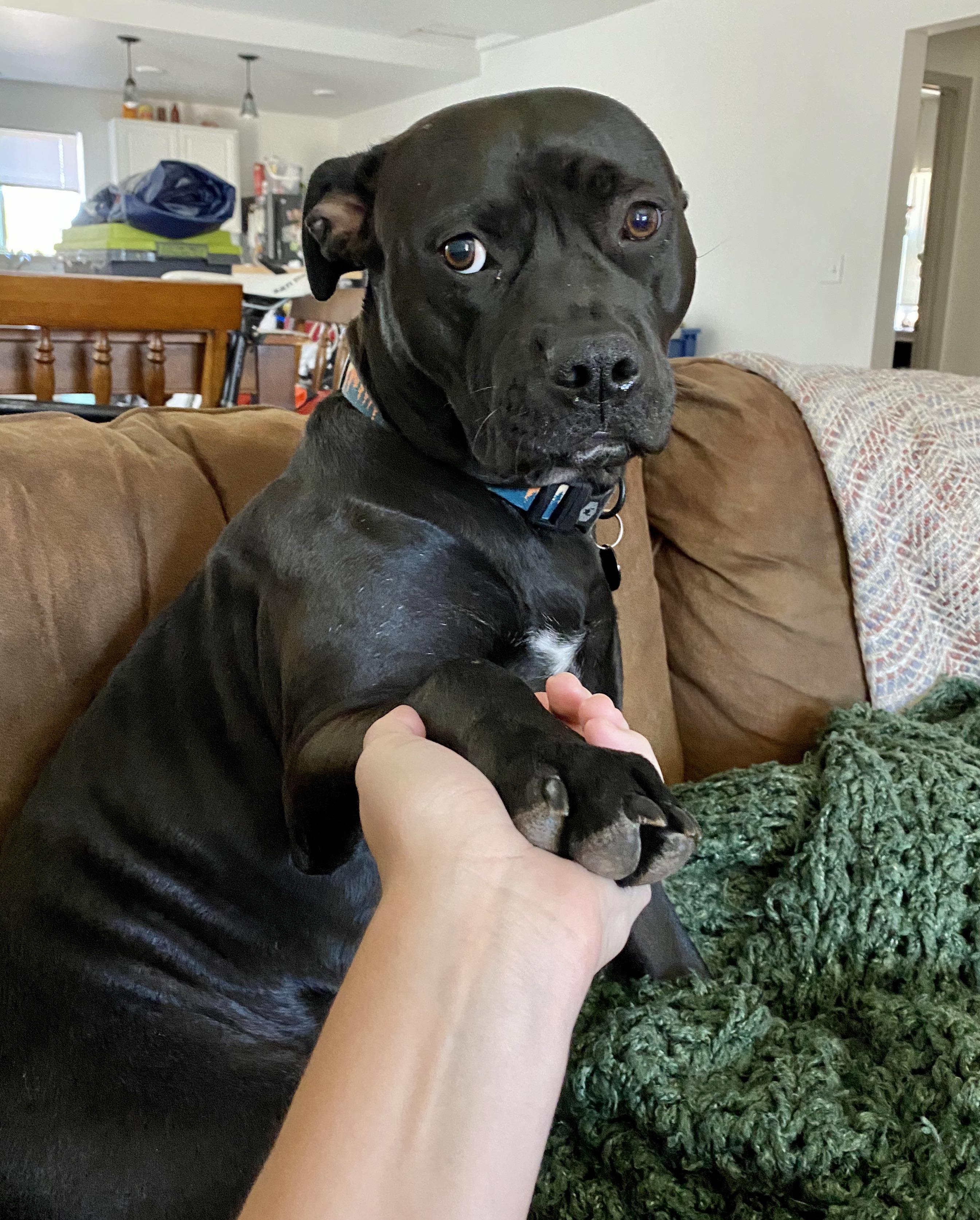 Those forever-sad eyes get me every time. | Scrolller