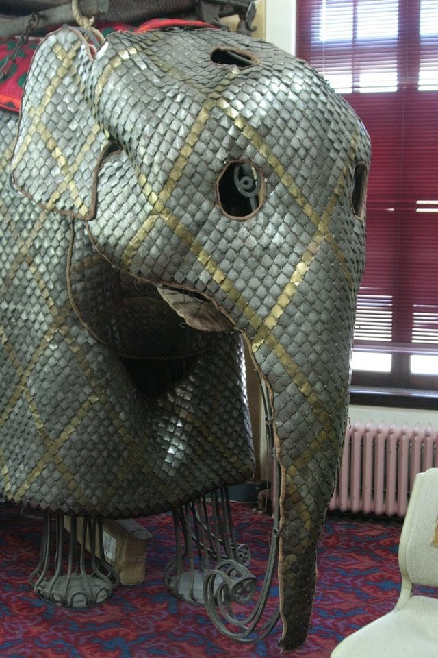 Thought it looked like a womble... | Scrolller