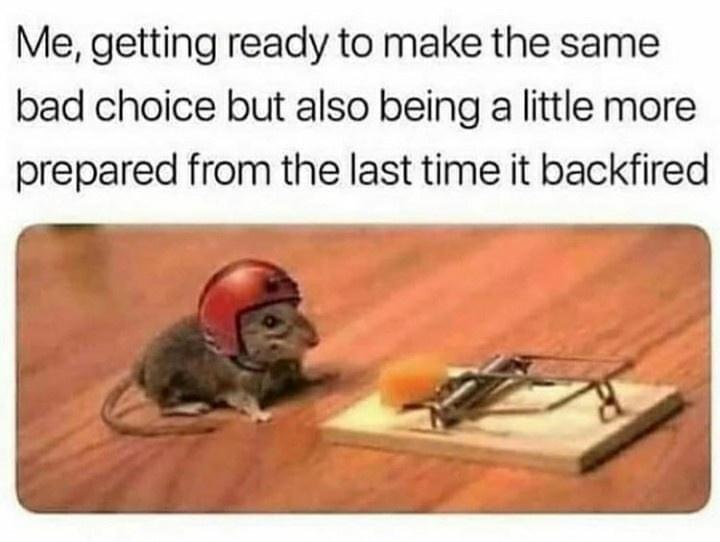 Thought this applied here. | Scrolller