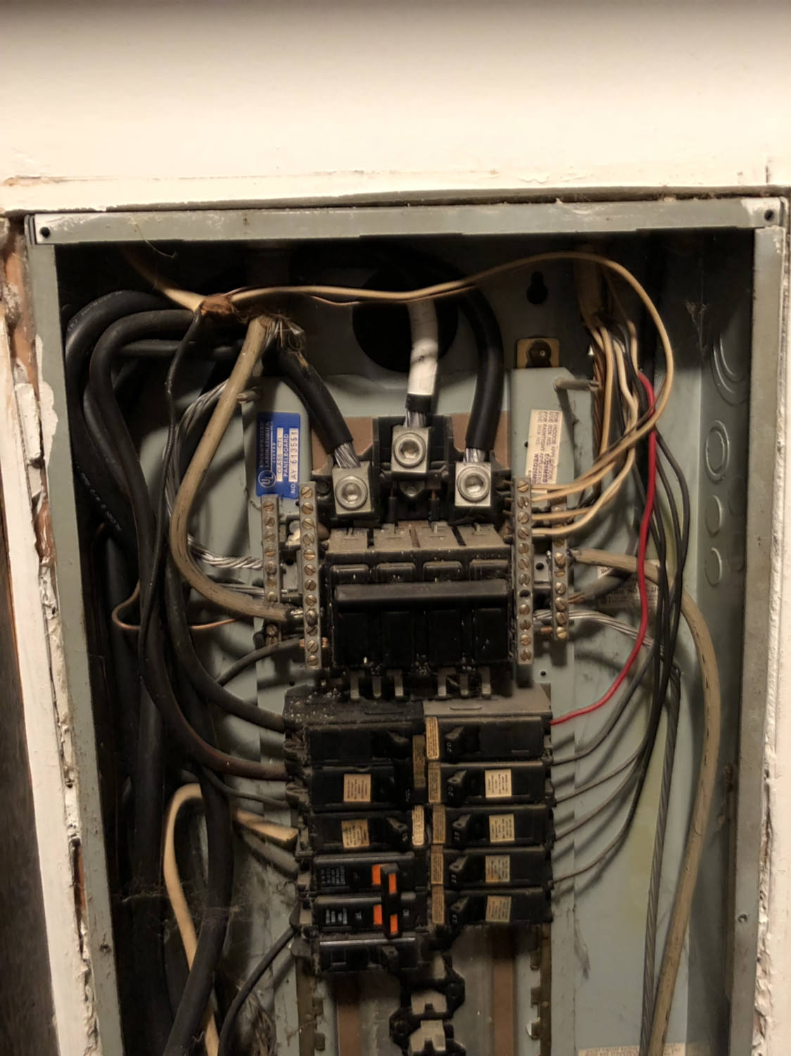 Three main lines? | Scrolller