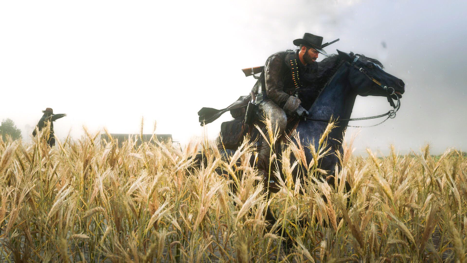 Through the Fields | Scrolller