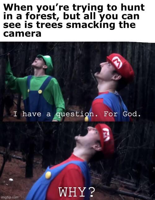 Through the trees you say? | Scrolller