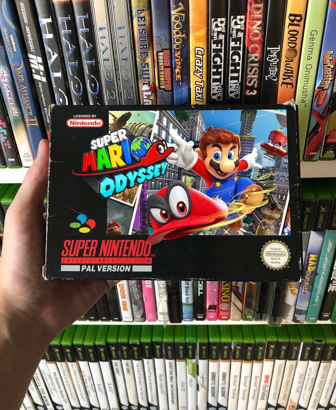 Through the window | Scrolller