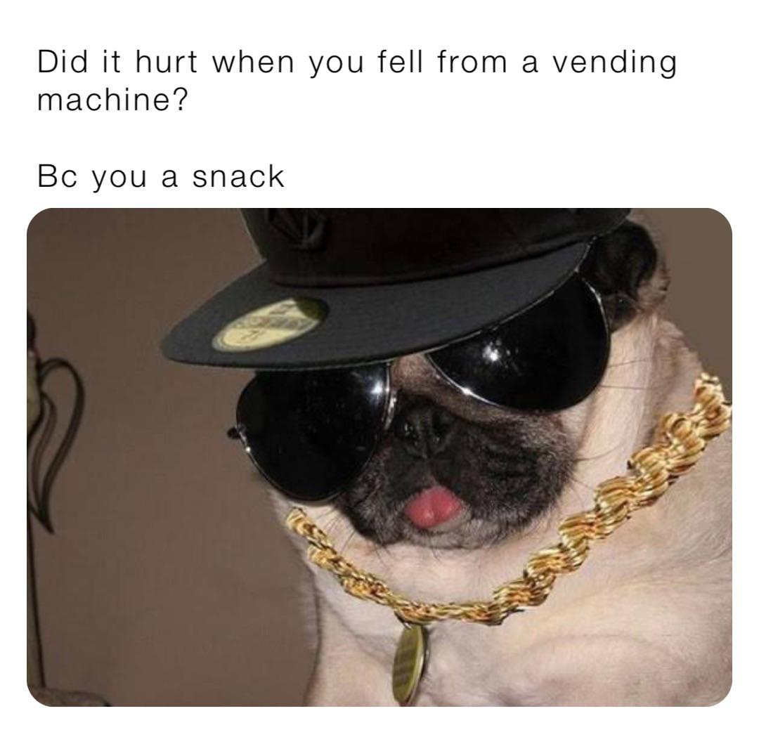 Thug life😂😂 | Scrolller